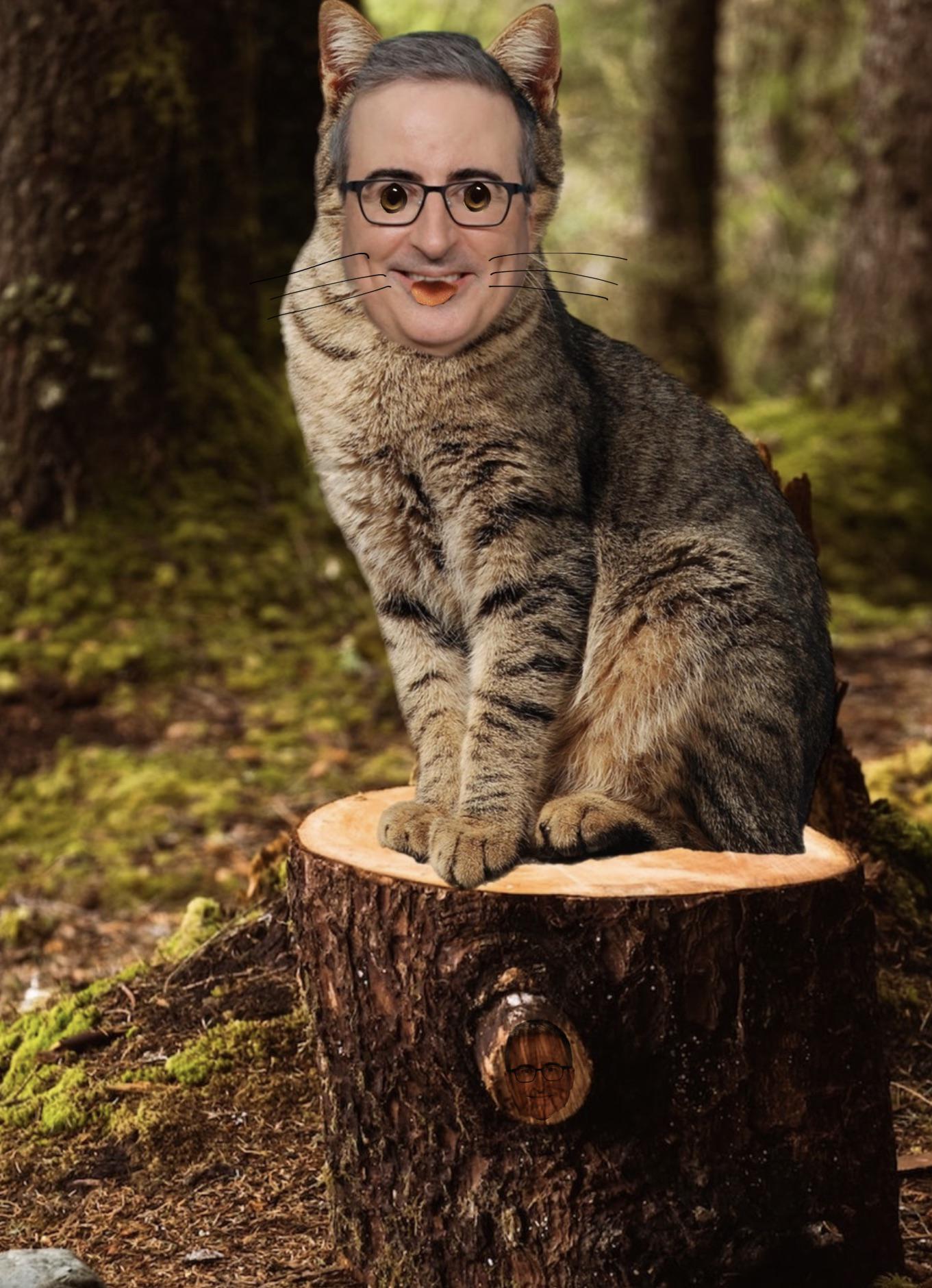 Cat John | Scrolller