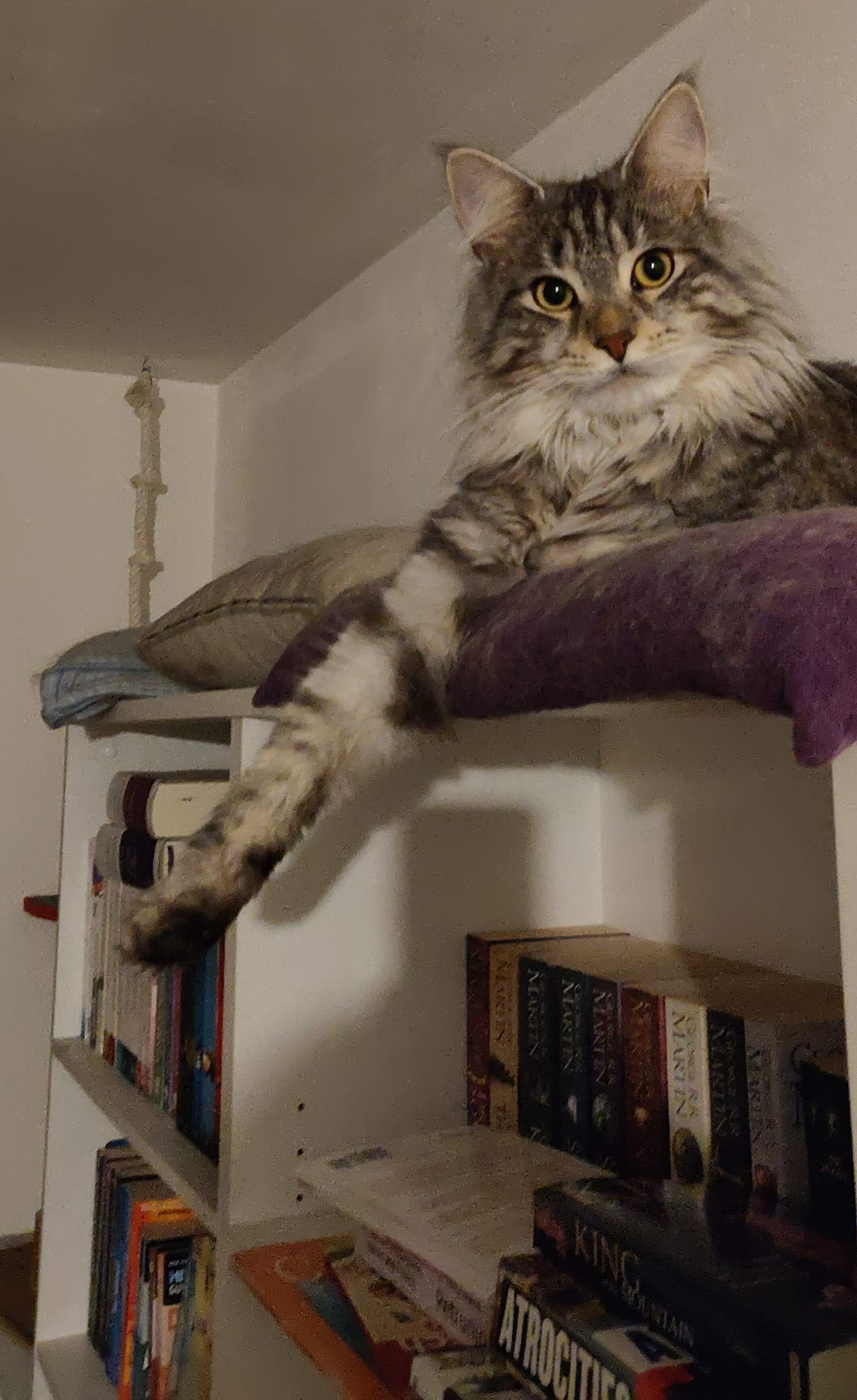 Love this handsome idiot | Scrolller