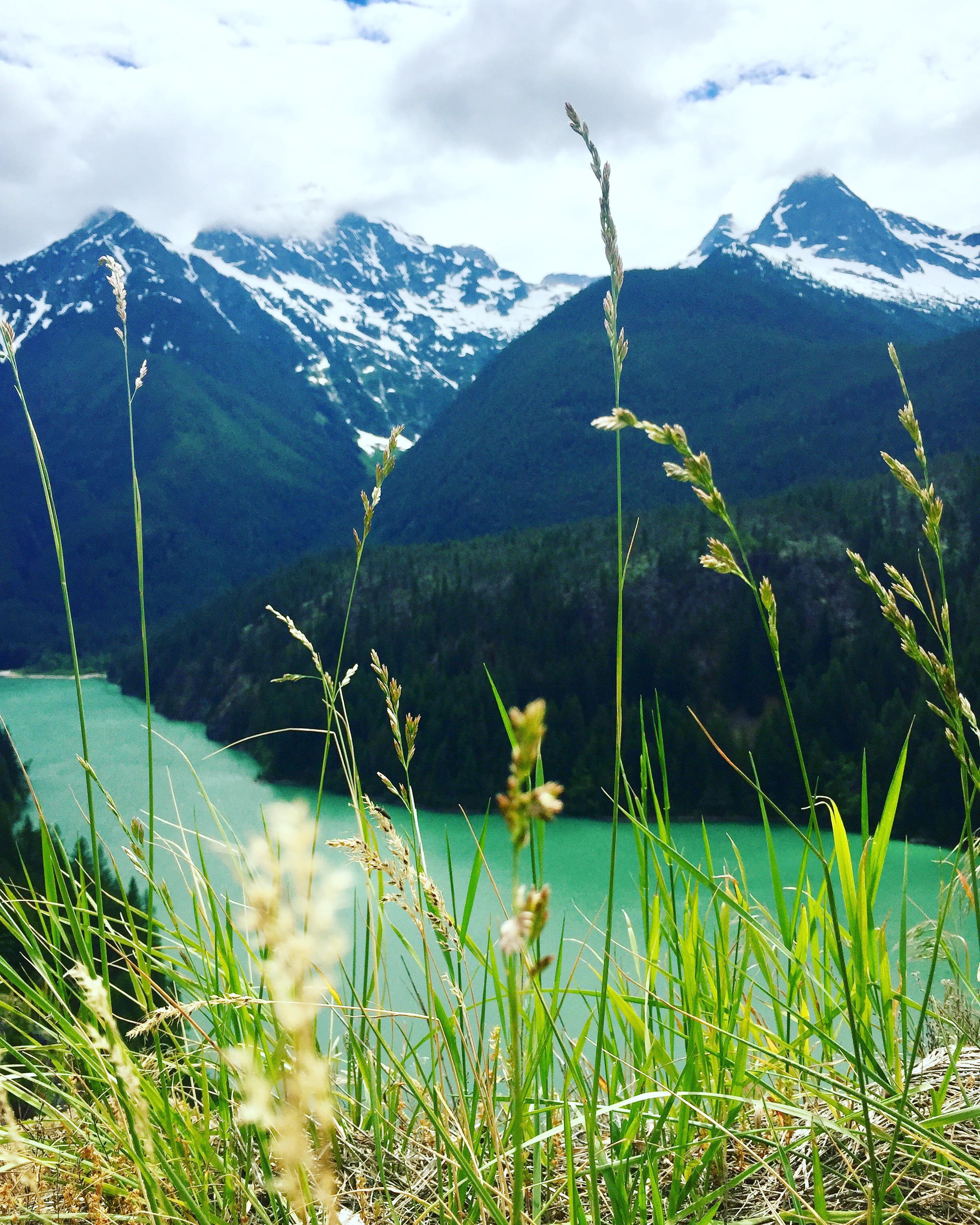 Northern Cascades | Scrolller