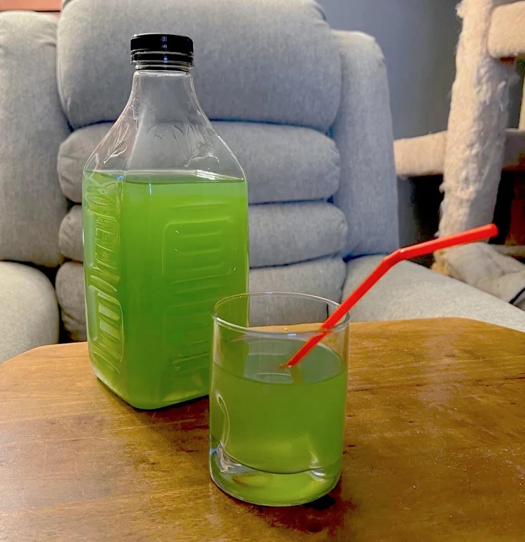 Made a batch of homemade Ecto-Cooler last night. Probably won't last long. (Recipe in comments ...