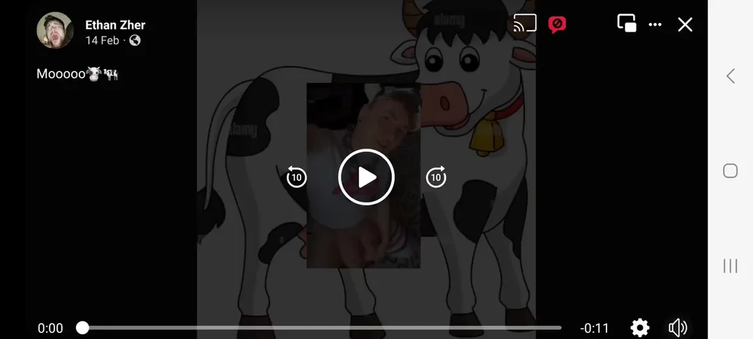 Bitch I'm A Cow | Scrolller