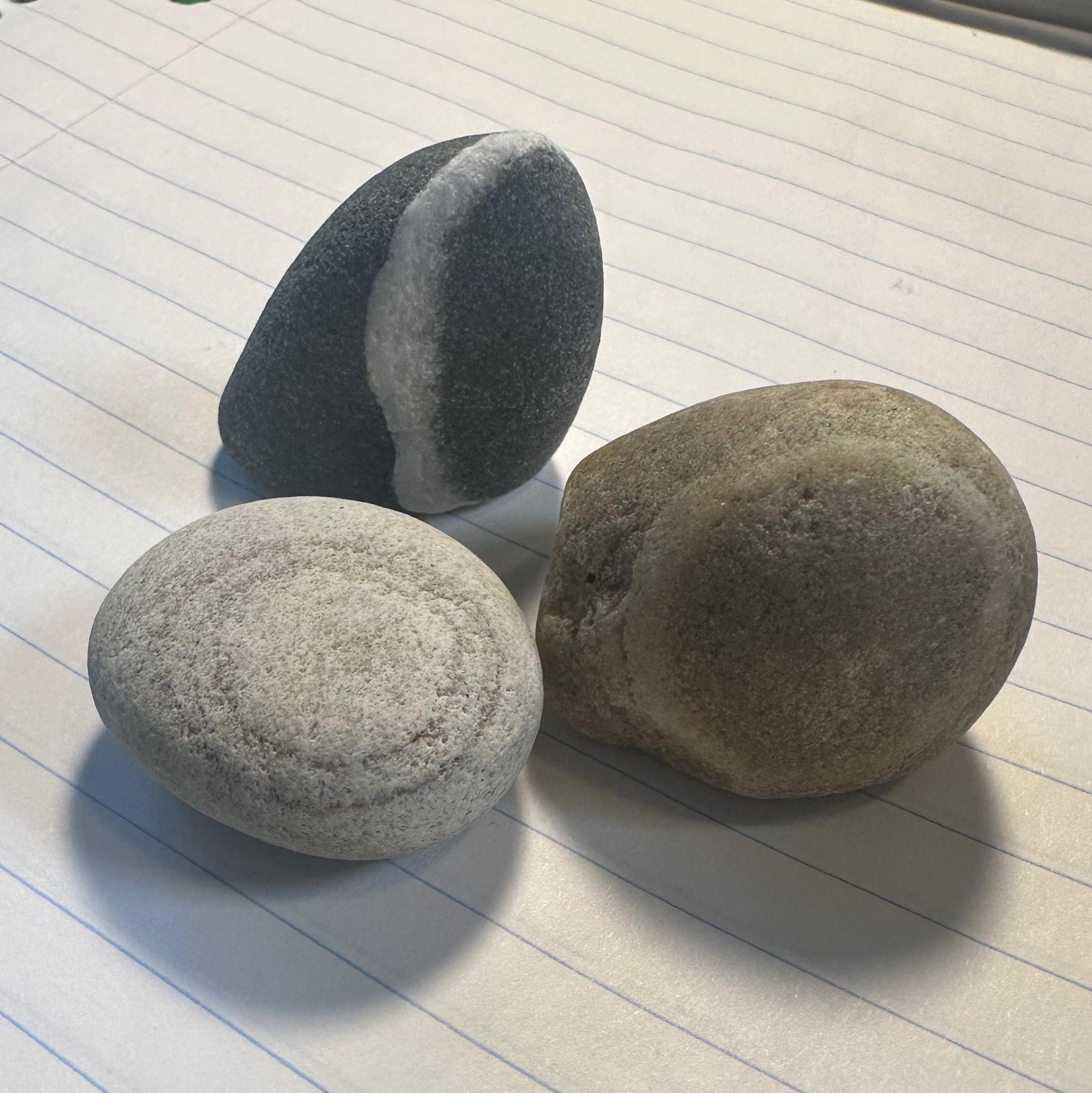 What are these circles | Scrolller