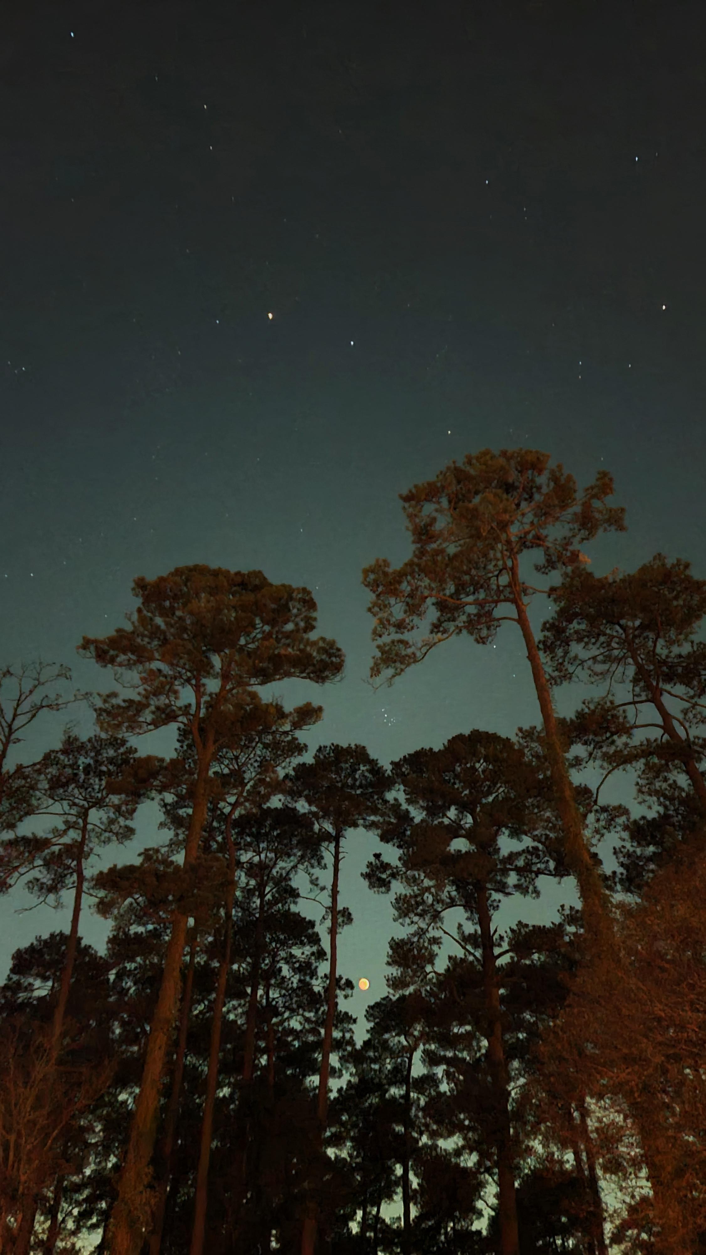 Bloodmoon Total Lunar Eclipse This Morning [OC] | Scrolller