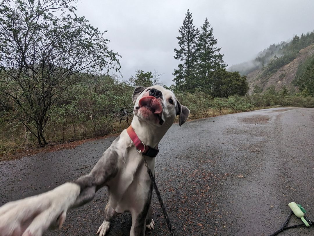 Buster selfie | Scrolller