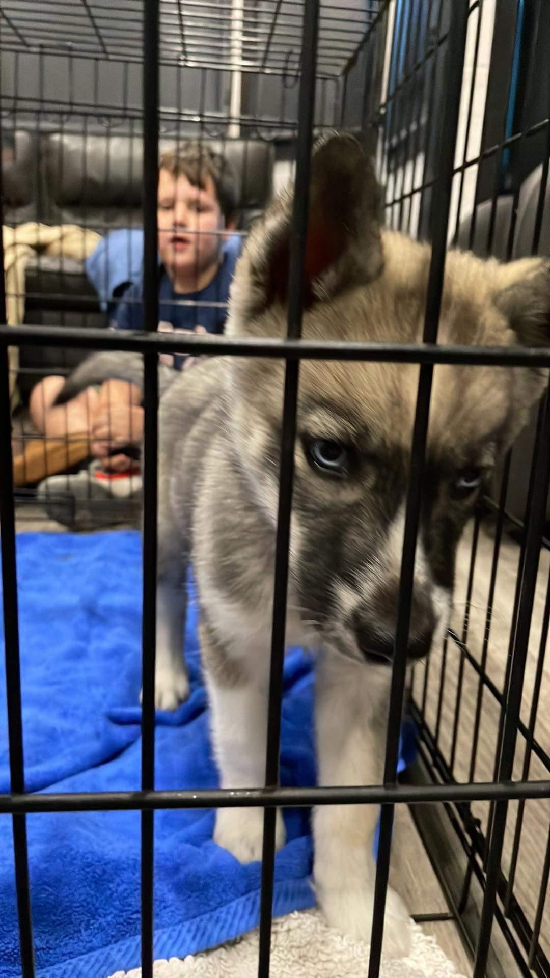 Help identify | Scrolller