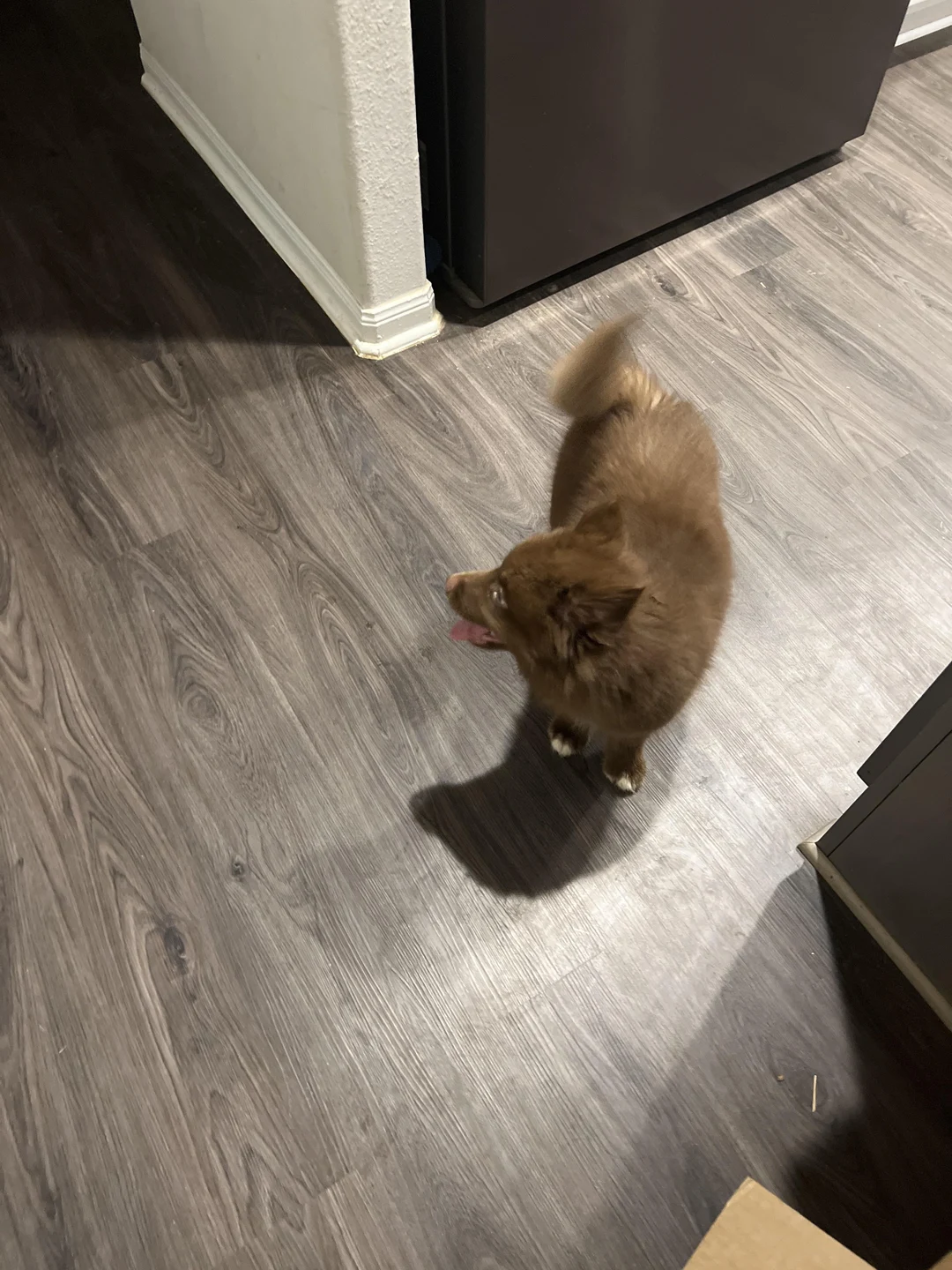 She’s so tiny | Scrolller