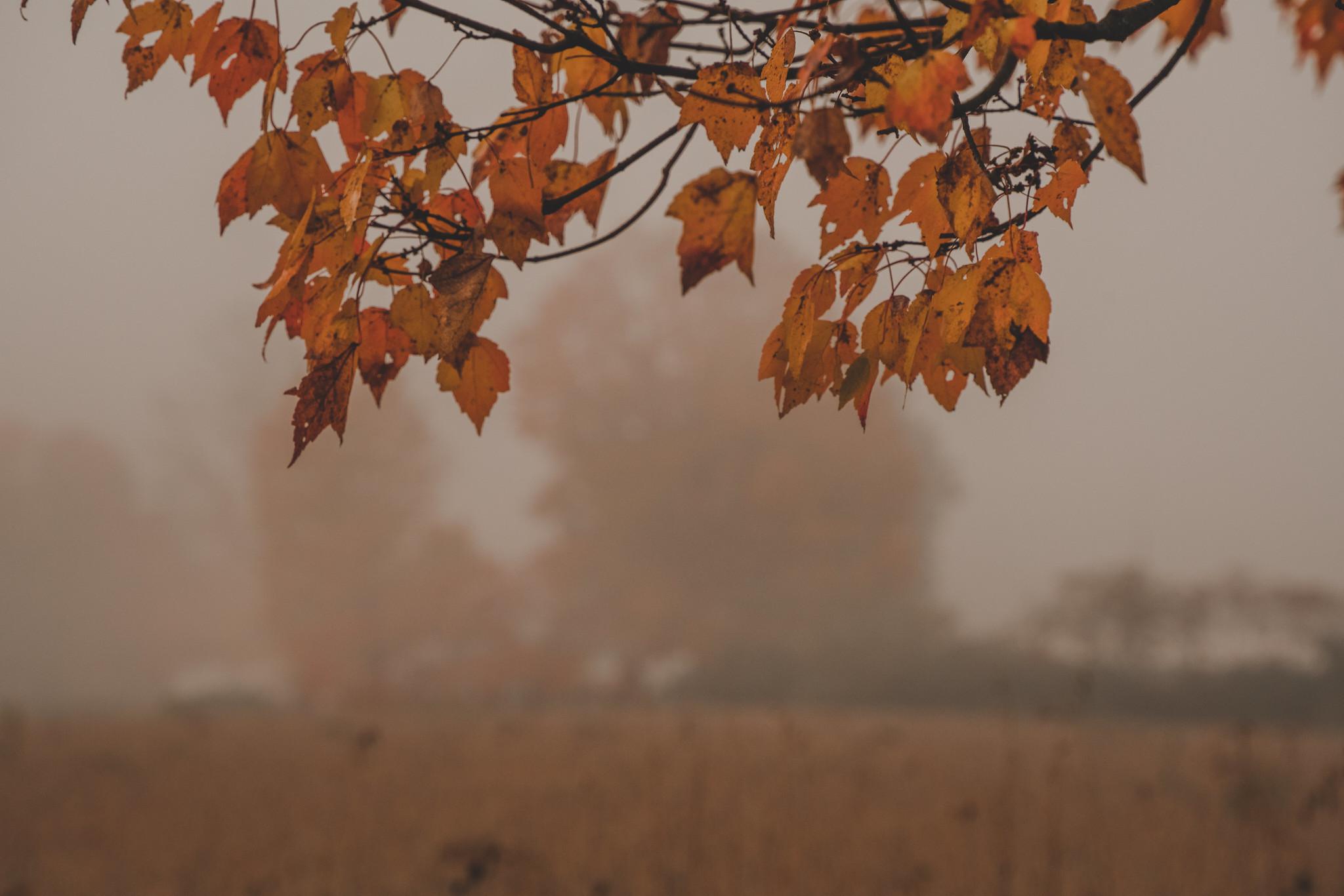 Upstate New York | Scrolller