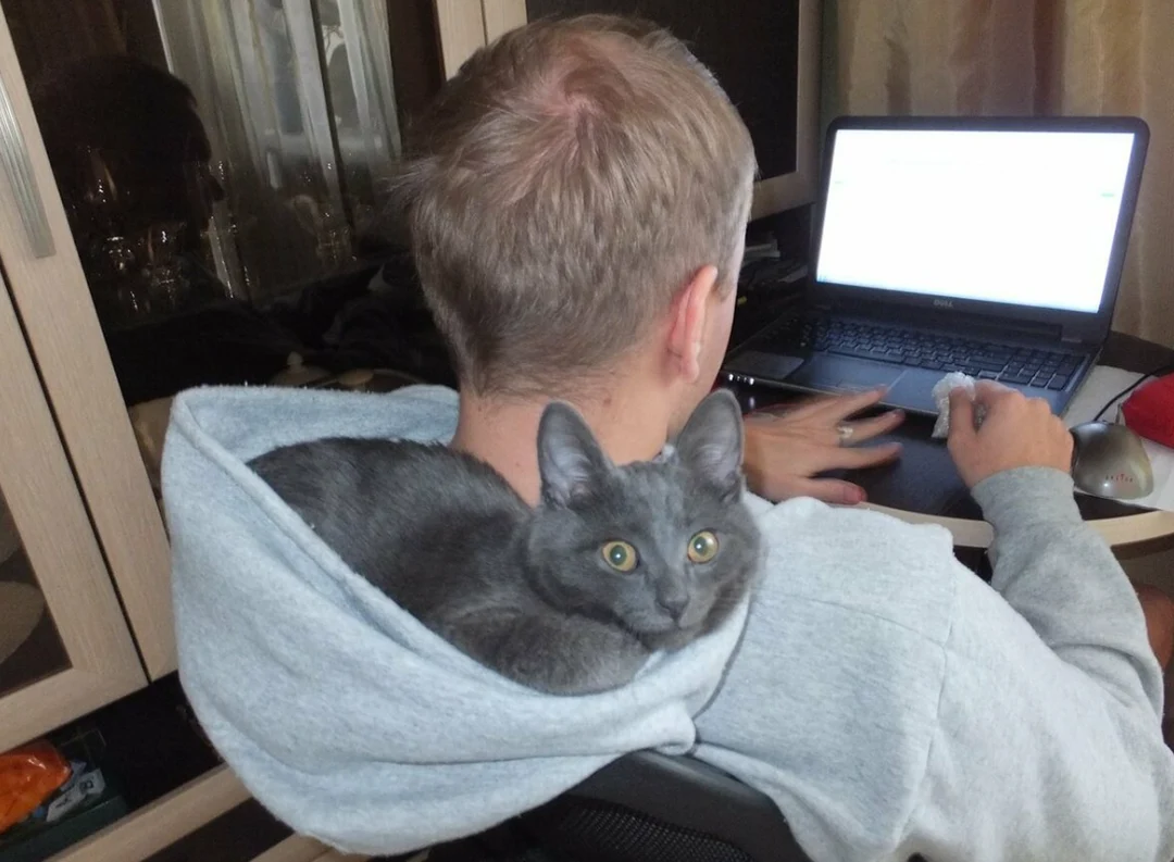 Introducing the most dedicated desk buddy ever | Scrolller