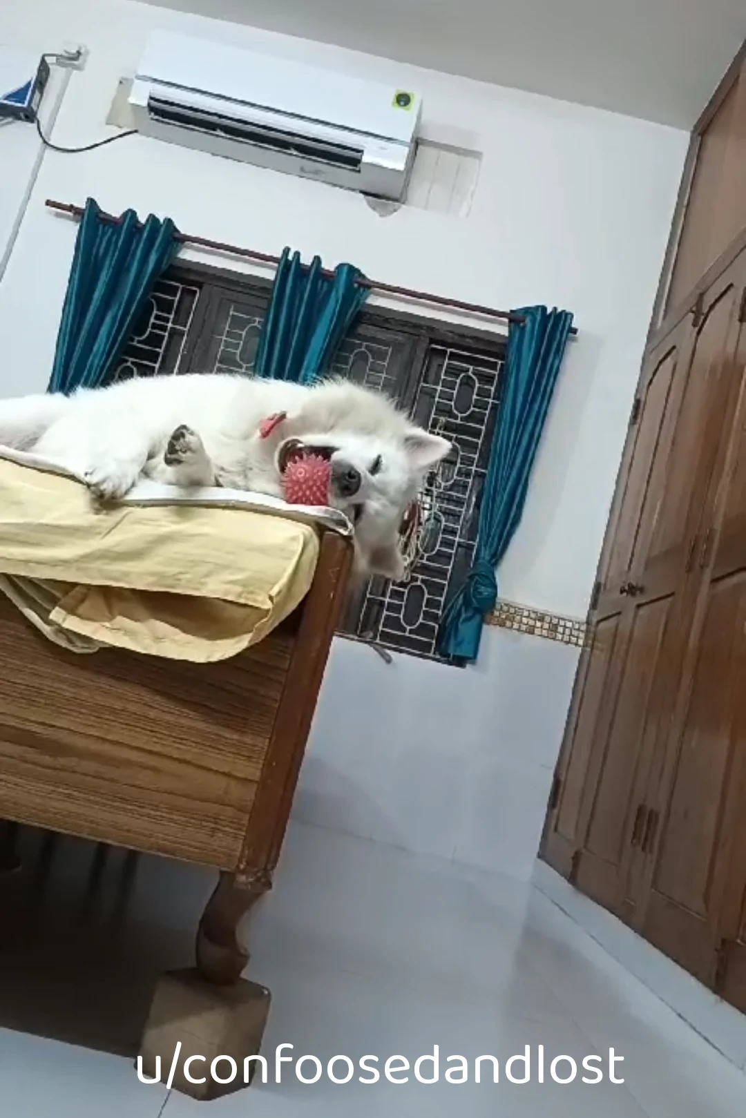 Now that looks awfully comfortable... | Scrolller