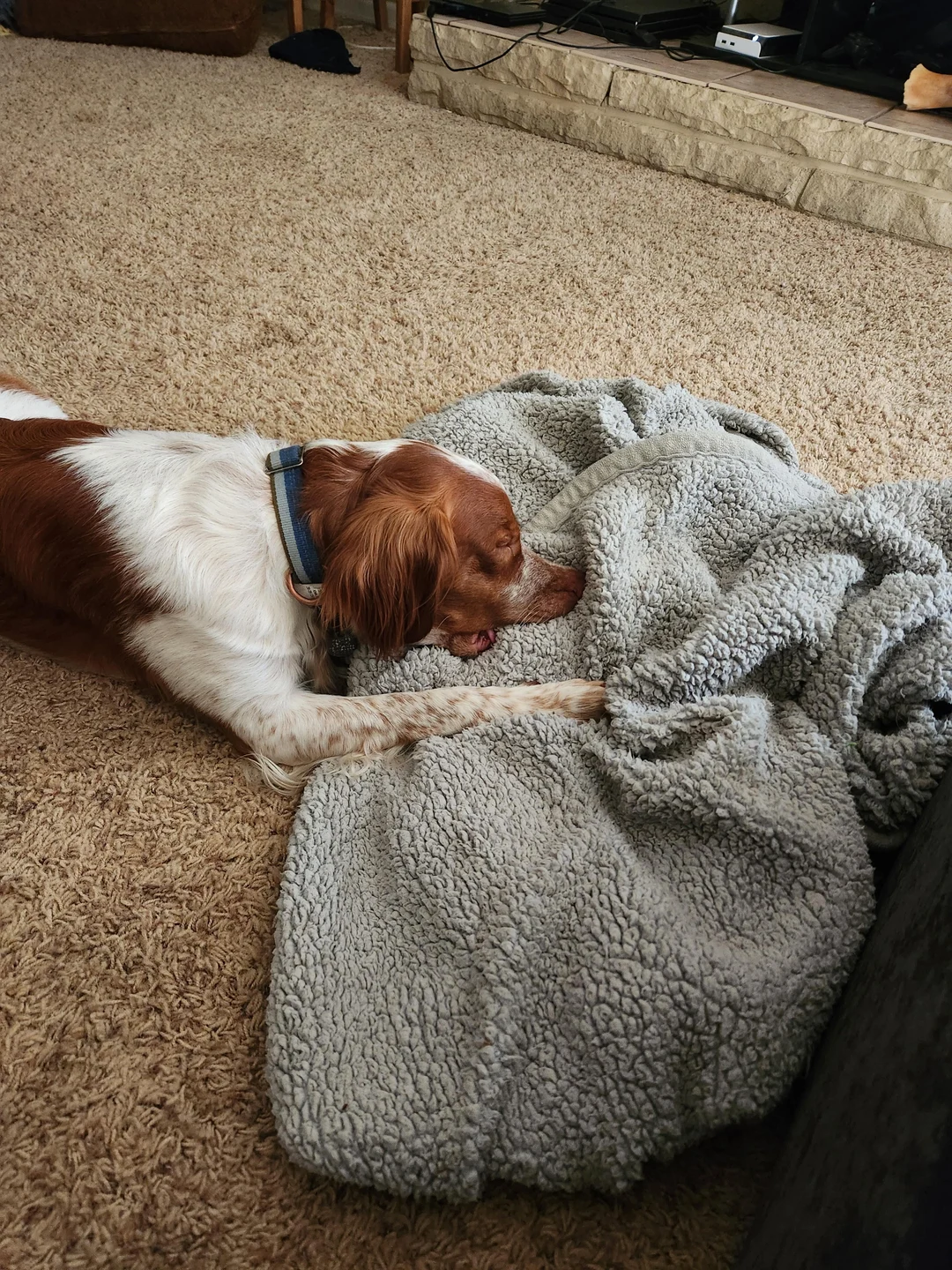 Dudes Blanket | Scrolller