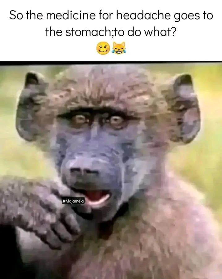 headache | Scrolller