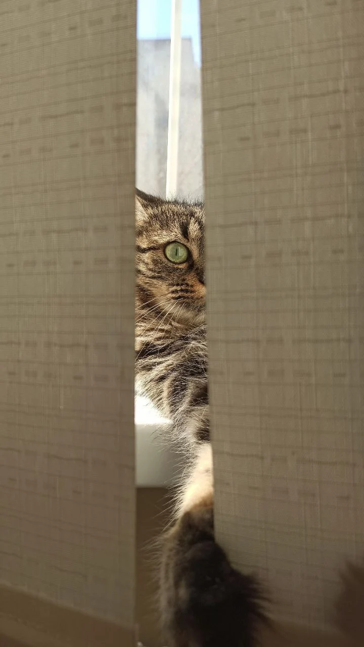 Supermodel from Ukraine