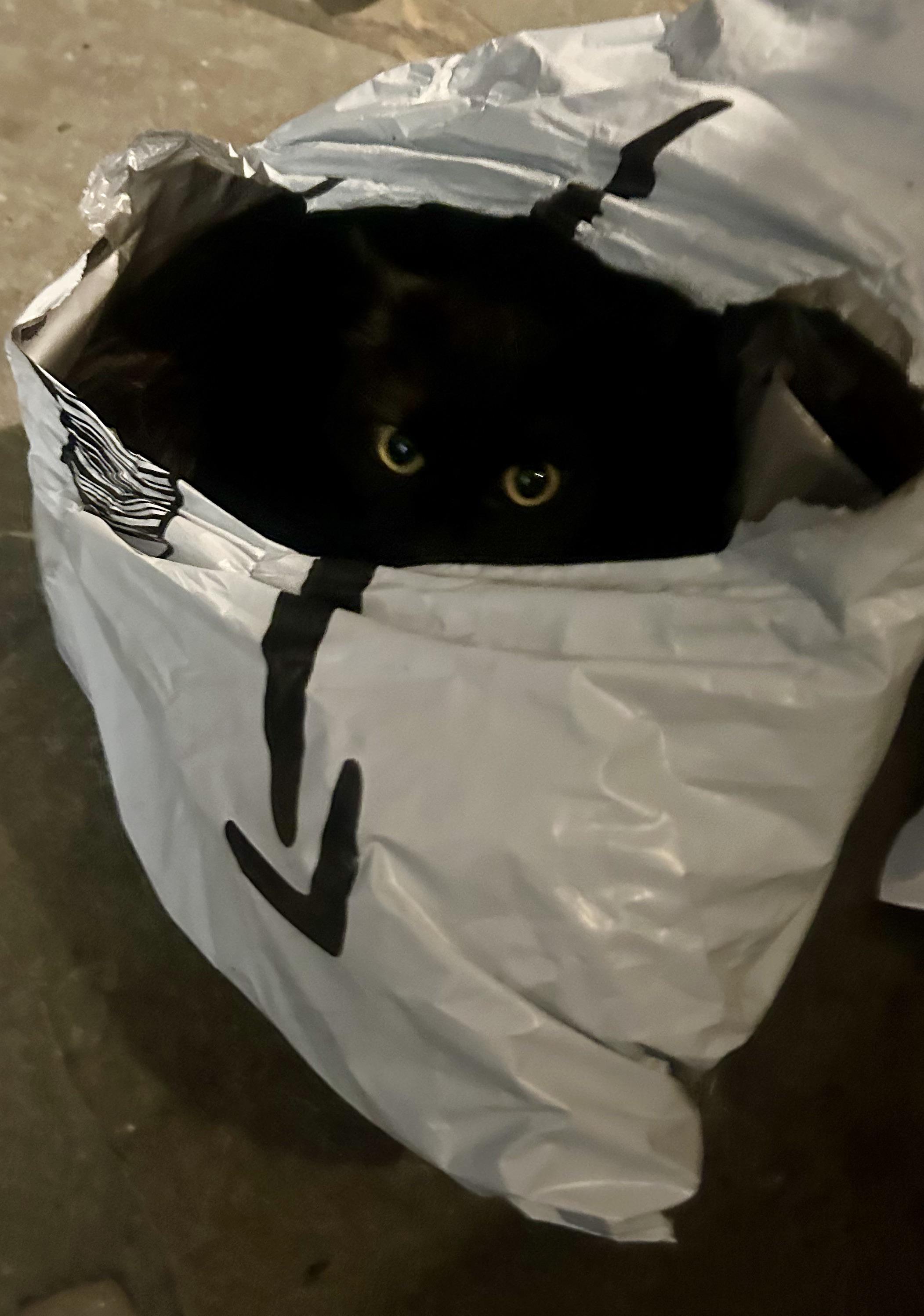 Did anyone order a void? | Scrolller