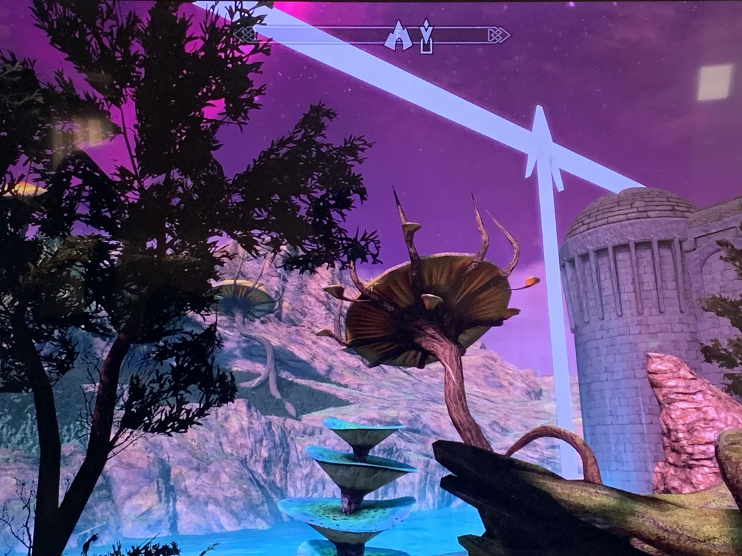 Weird Visual Issue in Shivering Isles? | Scrolller