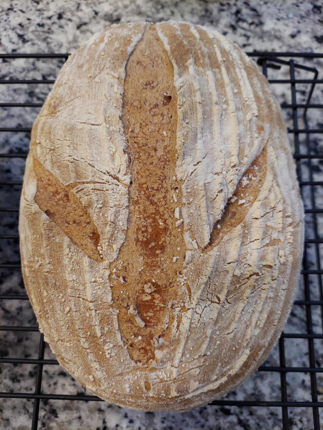 Peasant Bread | Scrolller