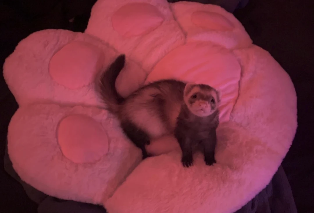 Safe to say this is hers now | Scrolller