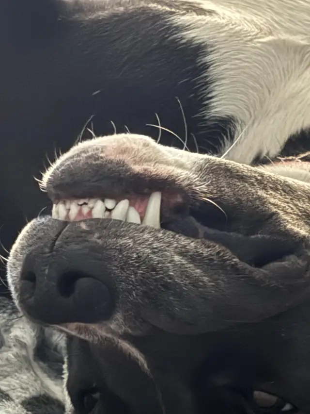 Goblin mode | Scrolller