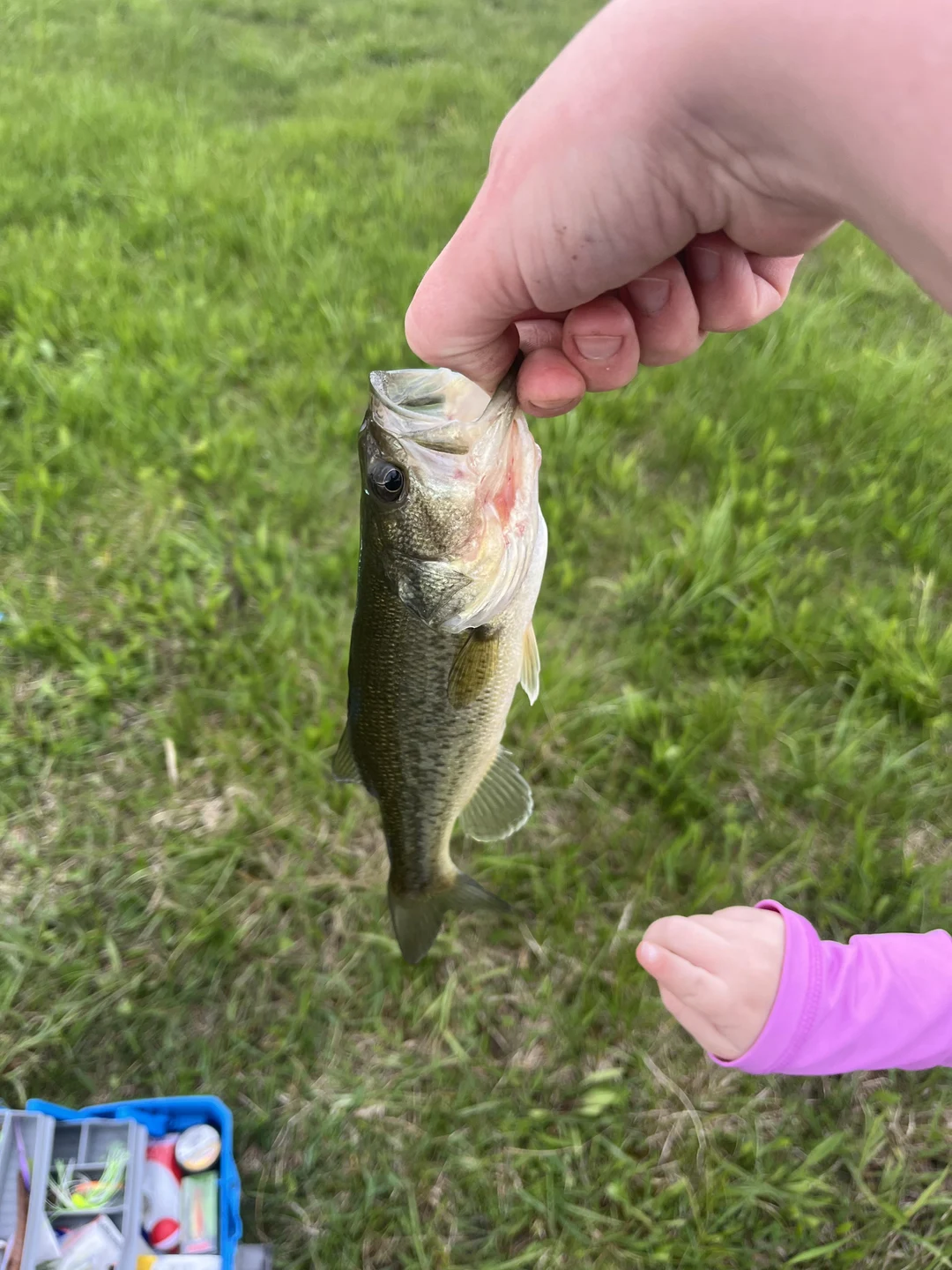 First time I haven’t been skunked in this pond! | Scrolller