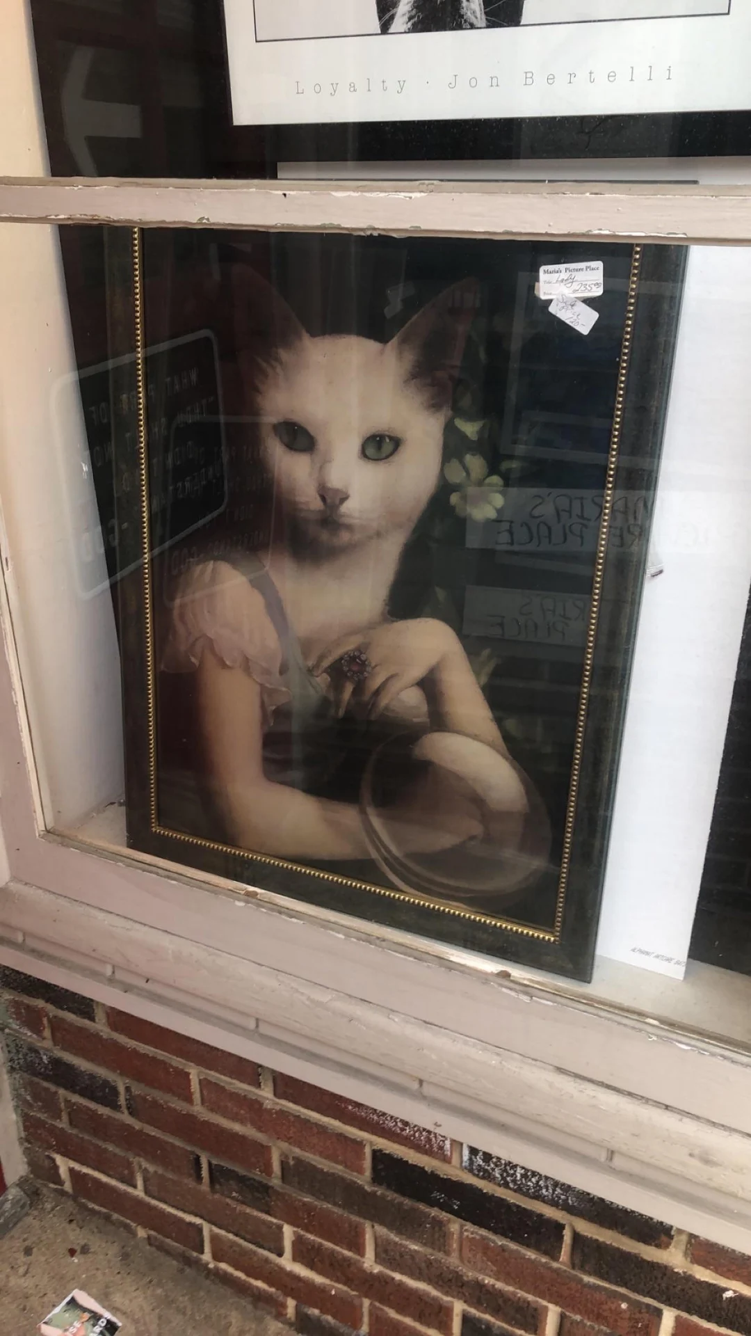 Do anthropomorphic kitties count? | Scrolller