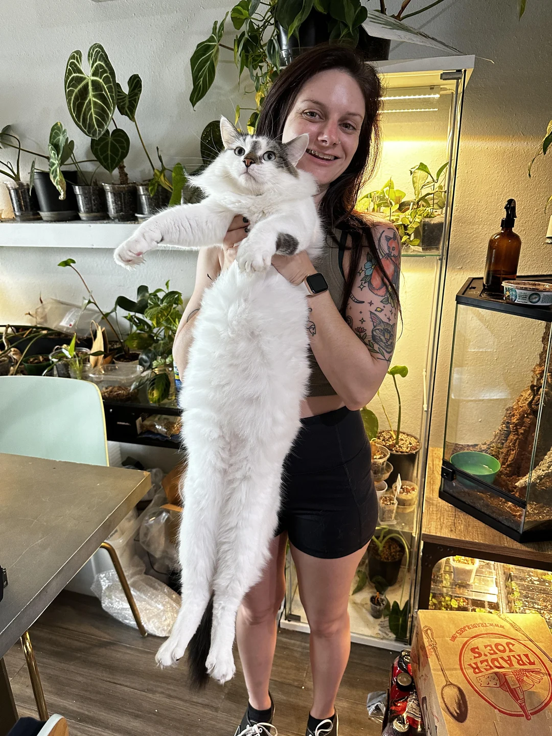 Meet this hot wet noodle, rigatoni | Scrolller