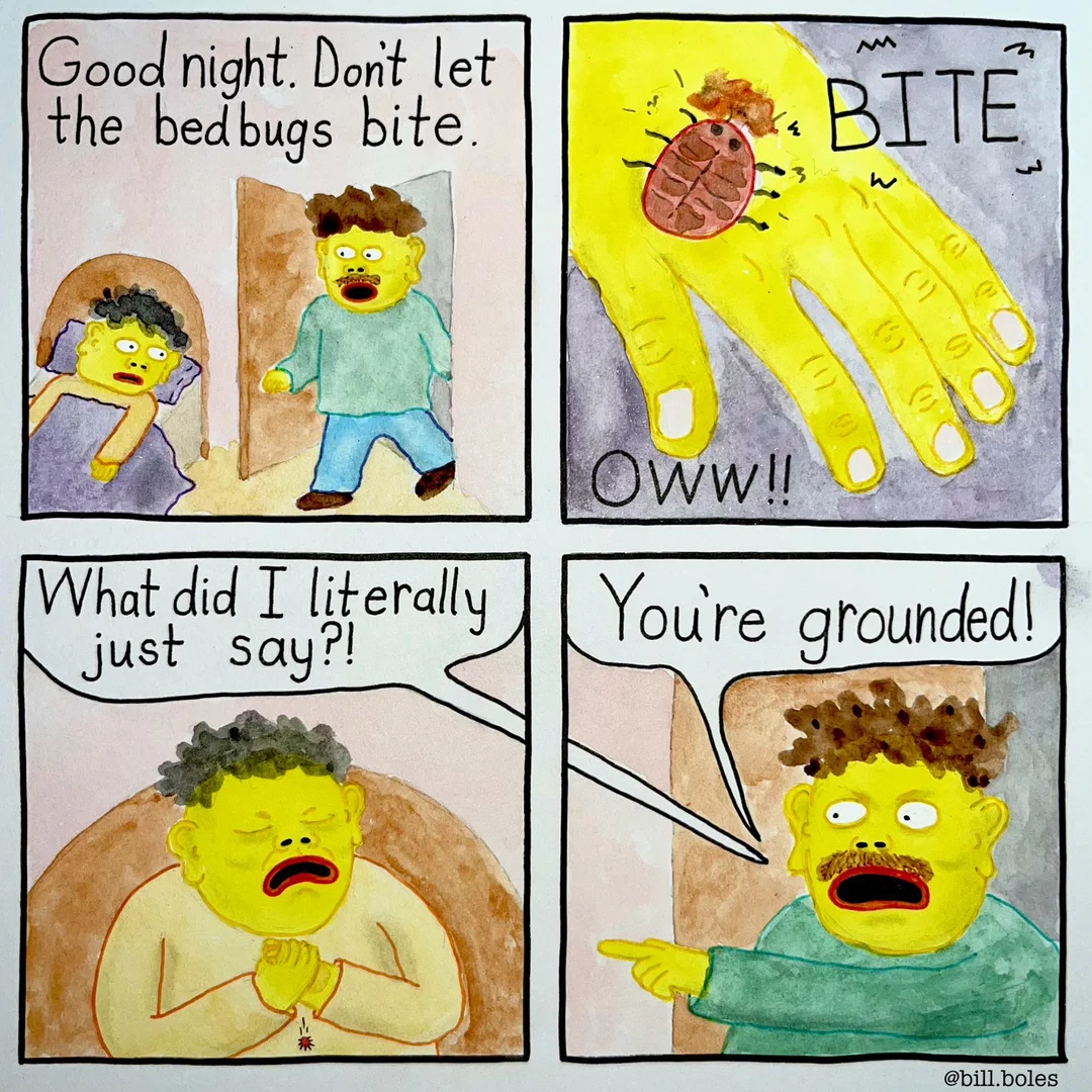 Bed bugs | Scrolller