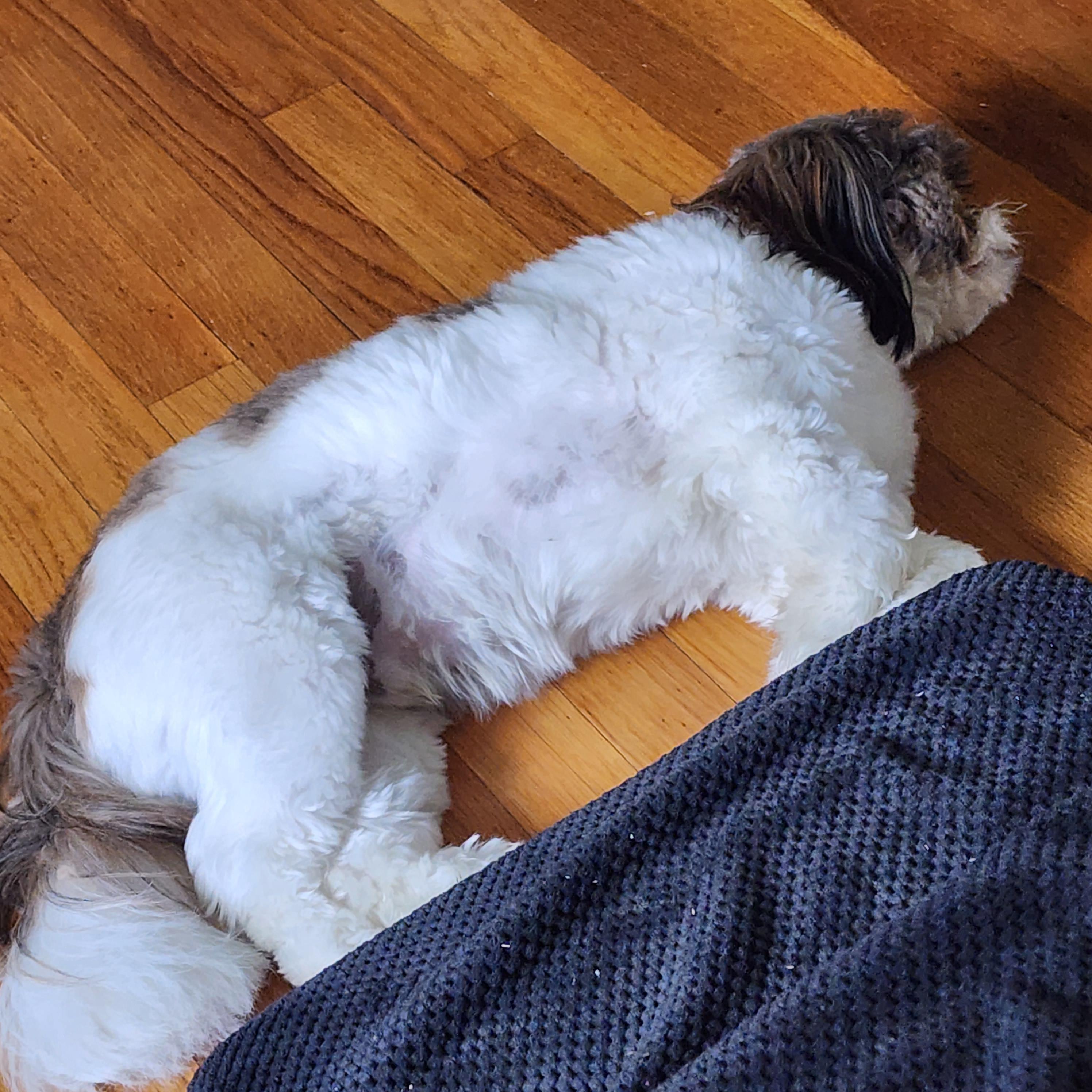 Beau is so passive-aggressive. It gets funny | Scrolller