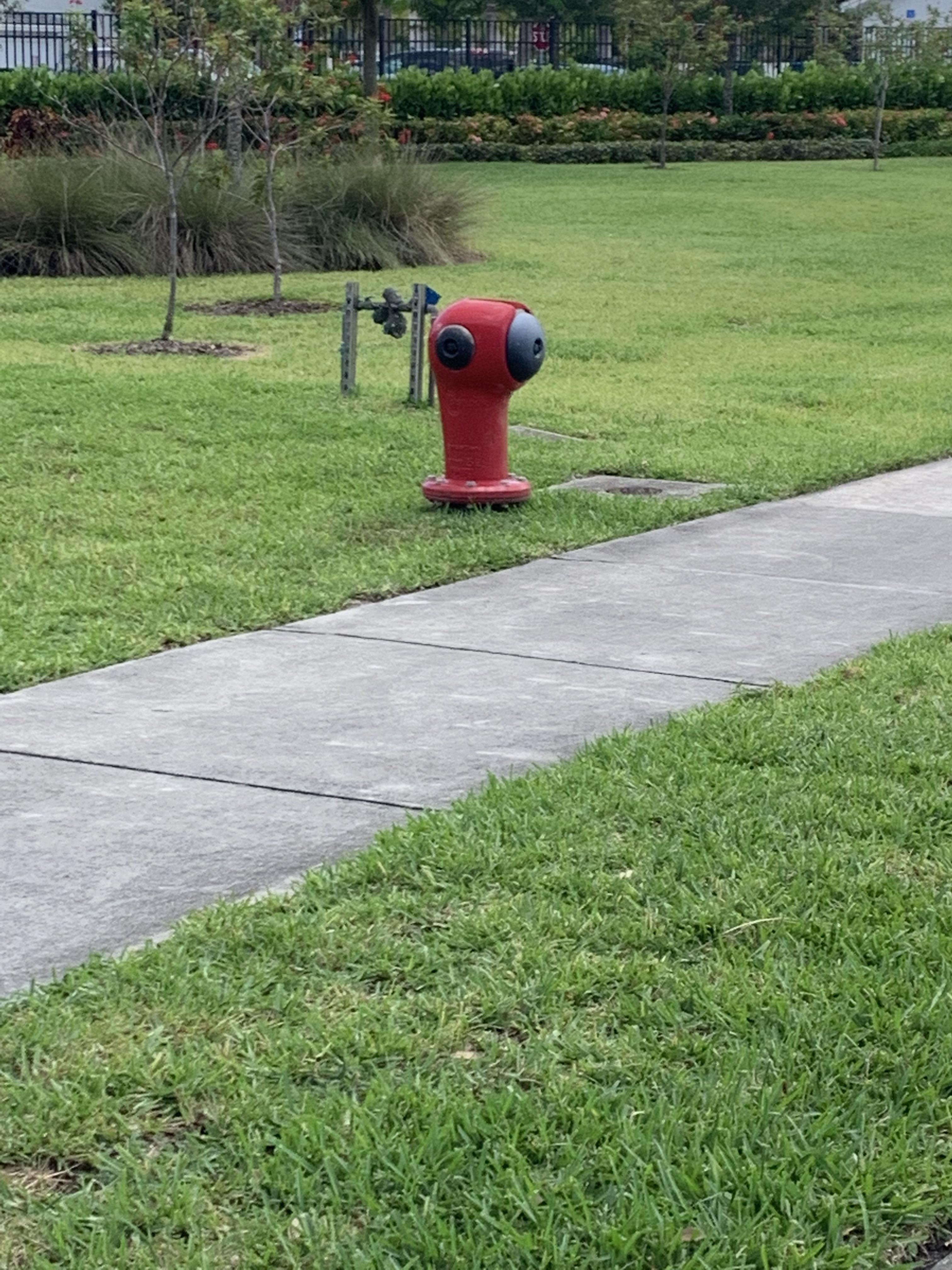 Sim confirmed | Scrolller