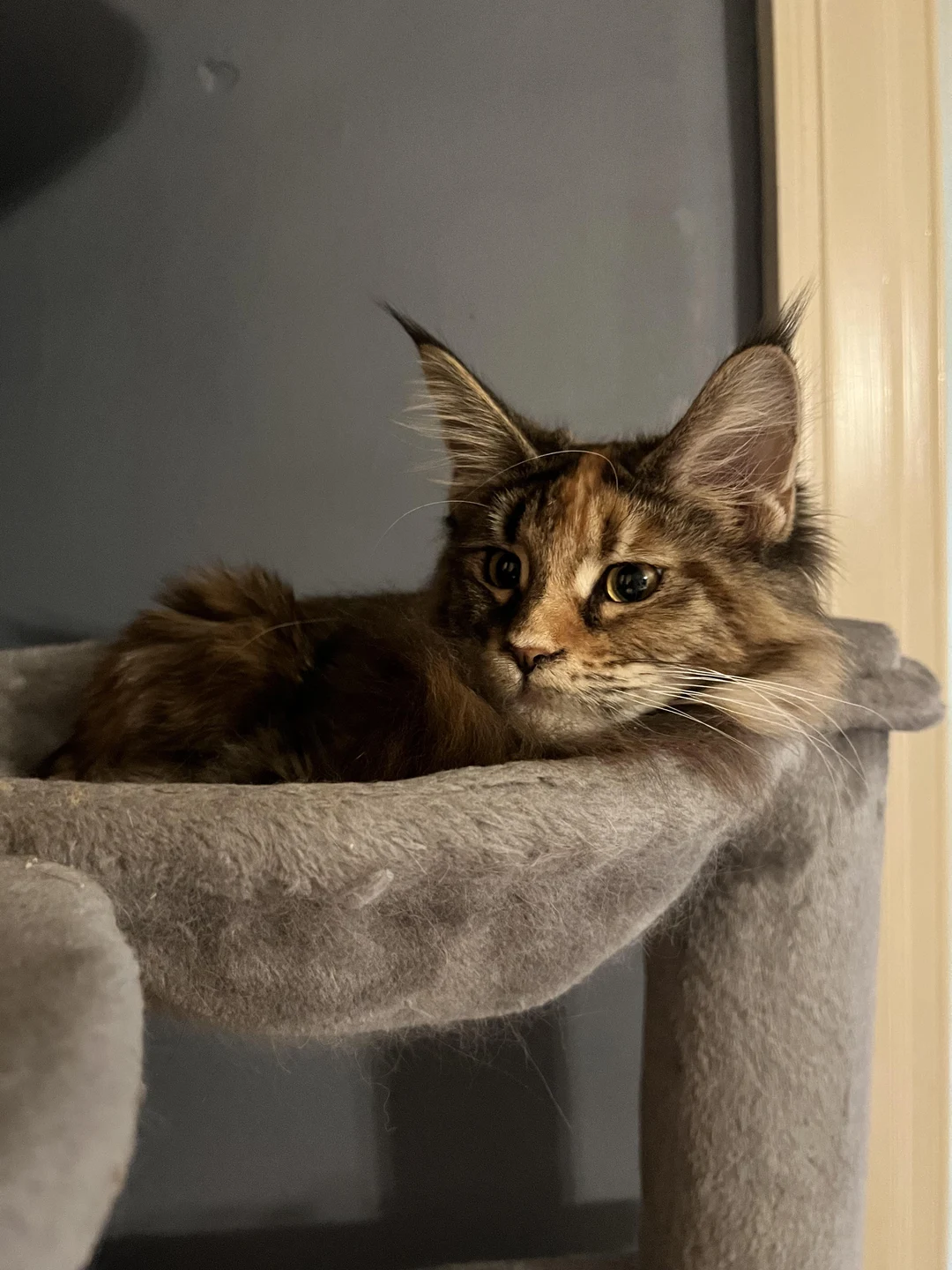 She’s hangin in there. | Scrolller