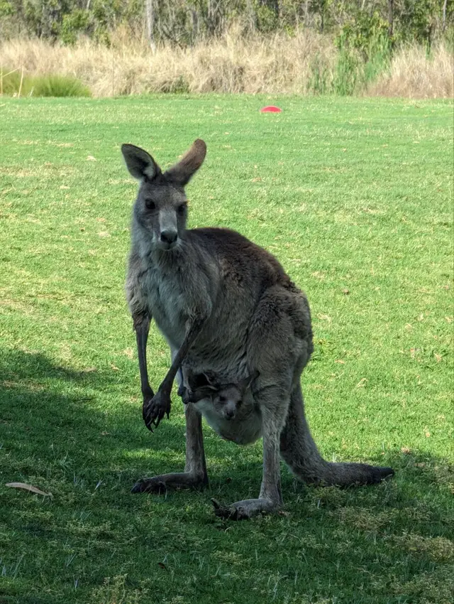 Not sure why she had her kid on the course but she was nice enough to let us play through ...