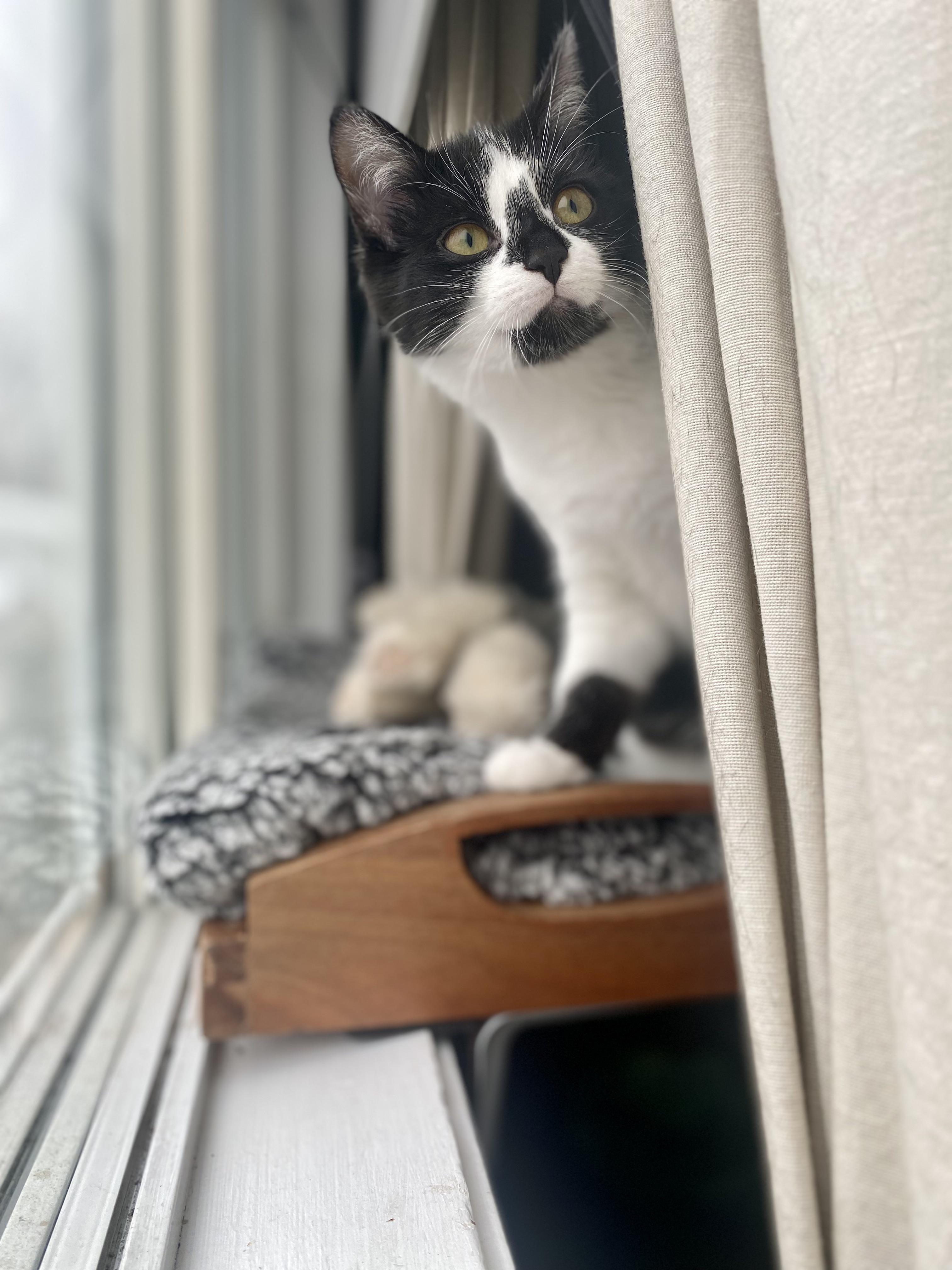 Watching the rain fall | Scrolller