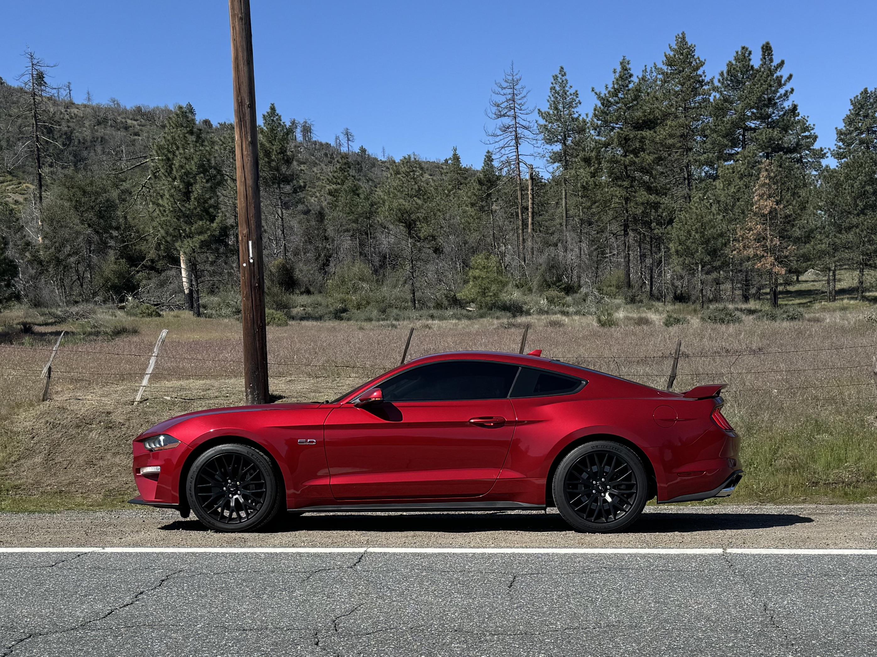 Had to take a pic real quick | Scrolller