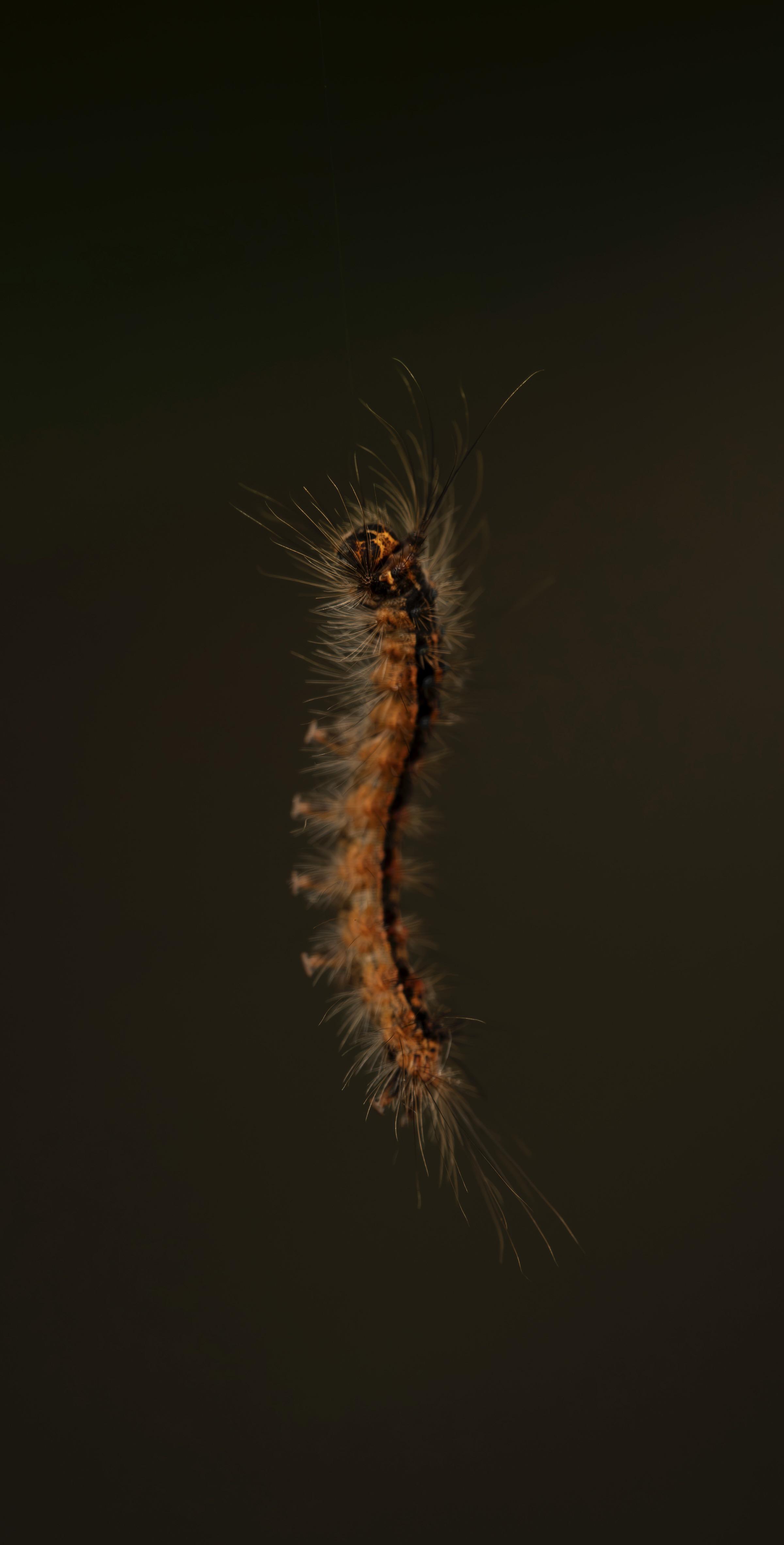 Hanging by a thread | Scrolller