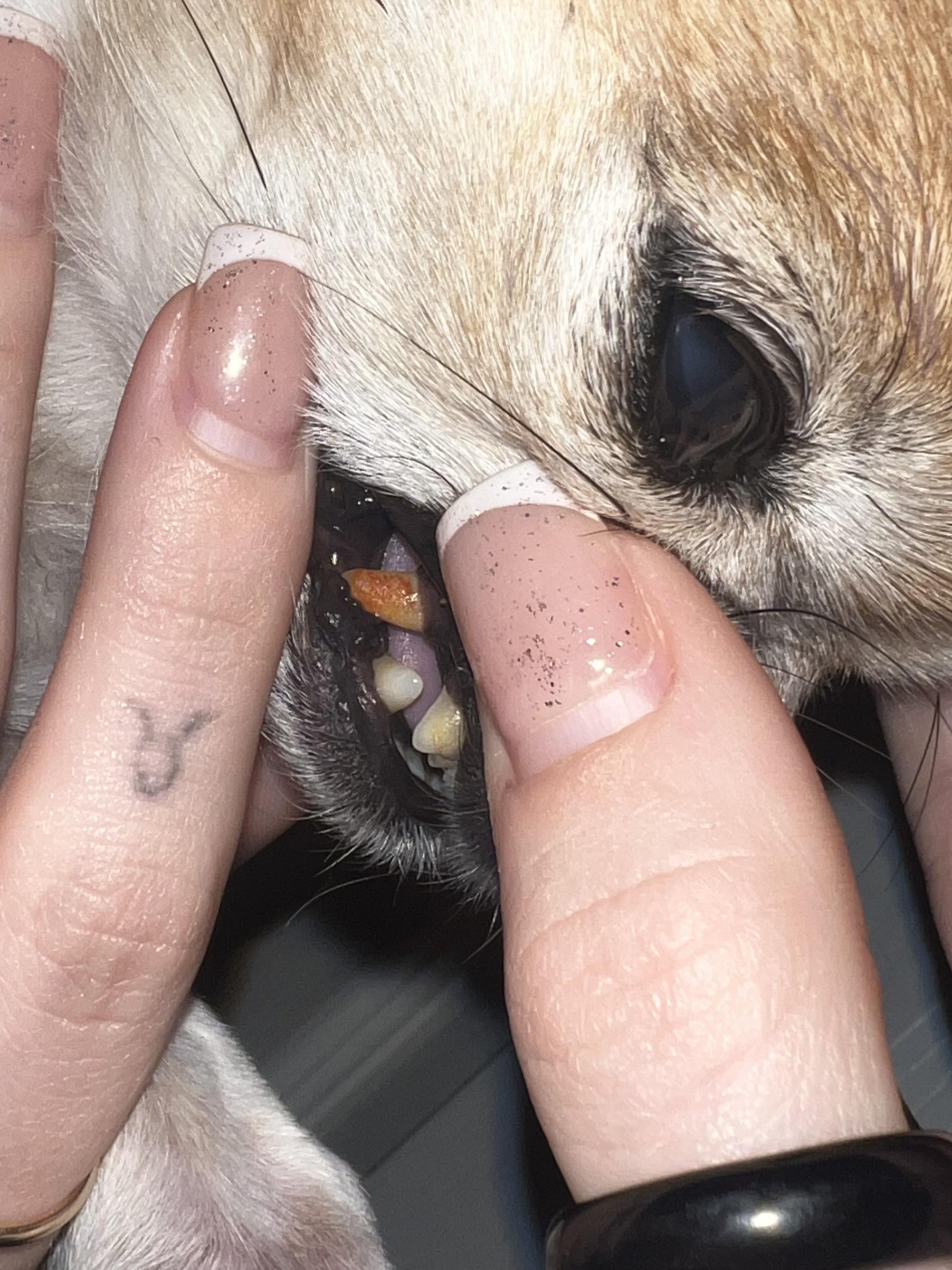 Red plaque on one tooth | Scrolller