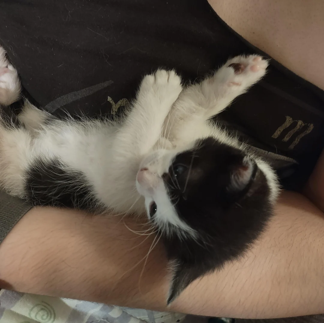 Meet little Egon! | Scrolller