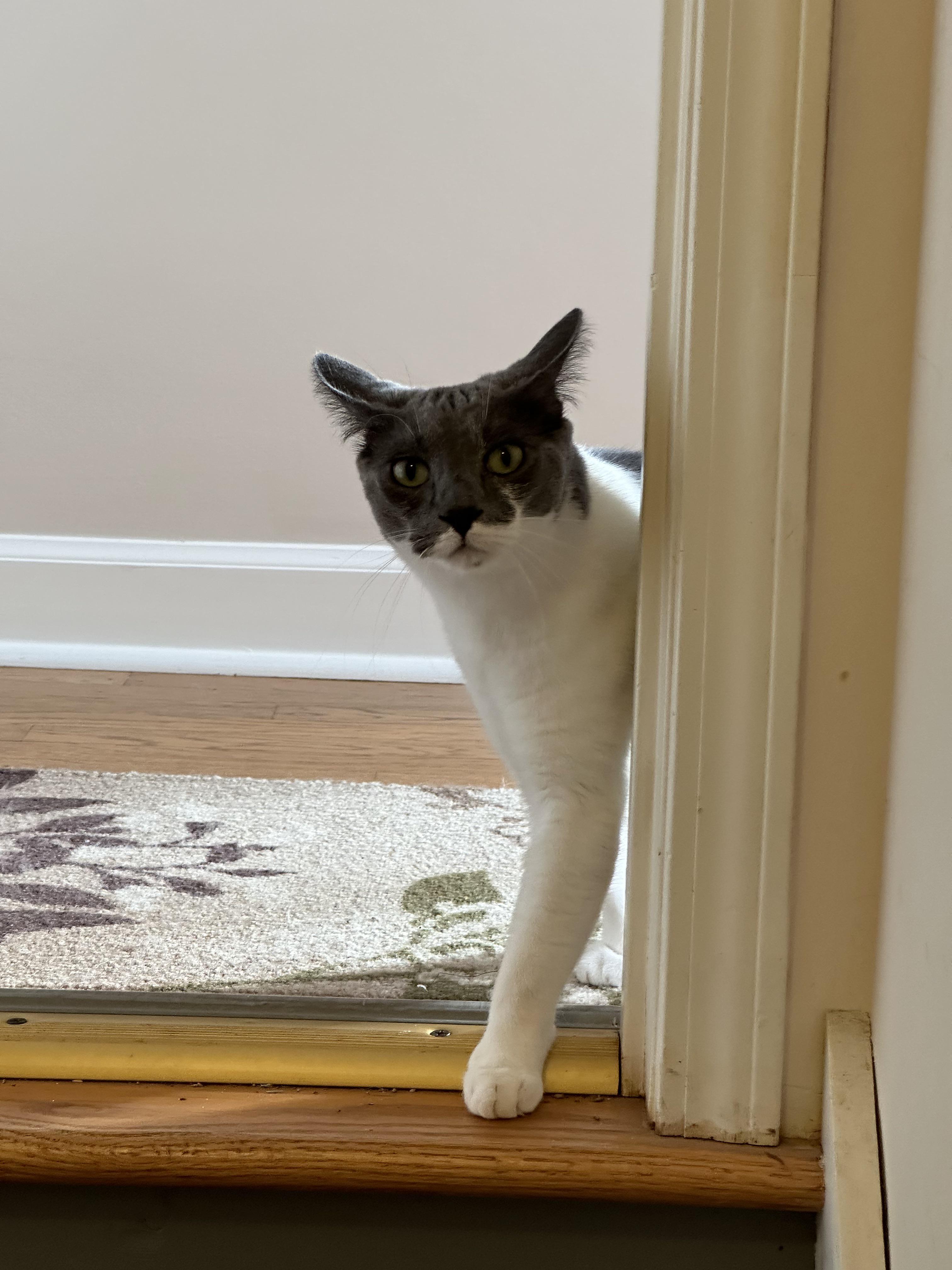 First time allowed in the basement | Scrolller