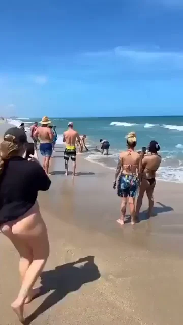 Ahhh yes, the shark | Scrolller