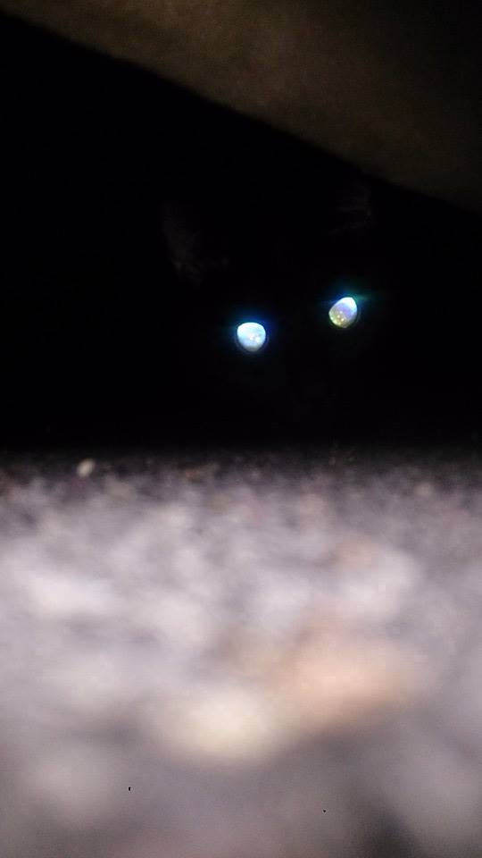 Memory from 9 years ago. I miss staring into the void and having the void stare back. | Scrolller