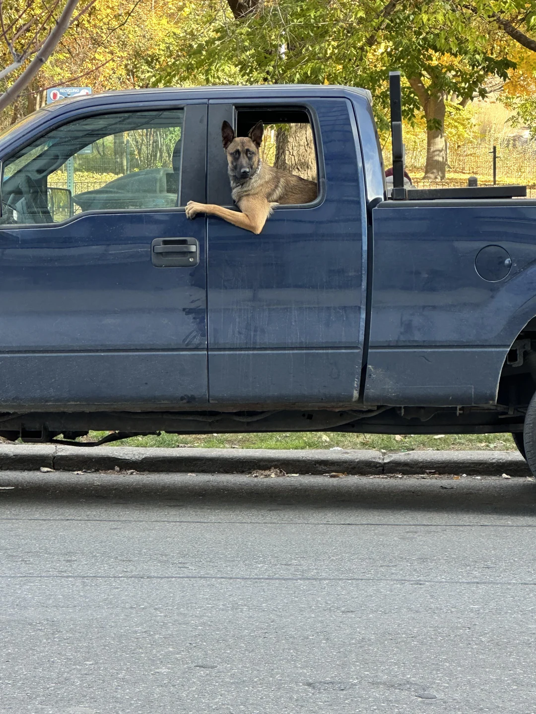 Backseat driver | Scrolller