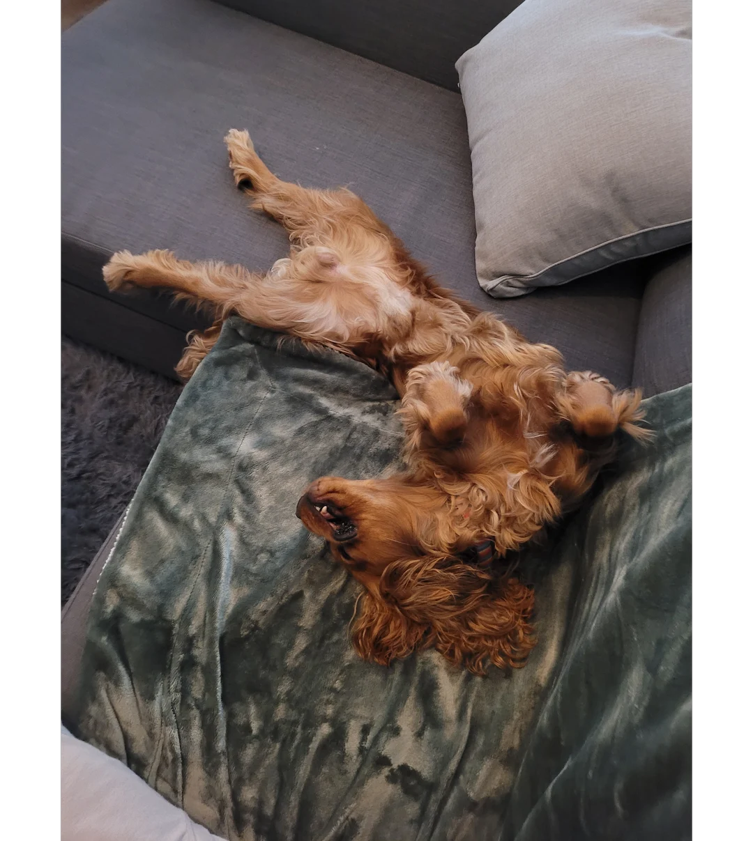 Comfort... heard of it? | Scrolller