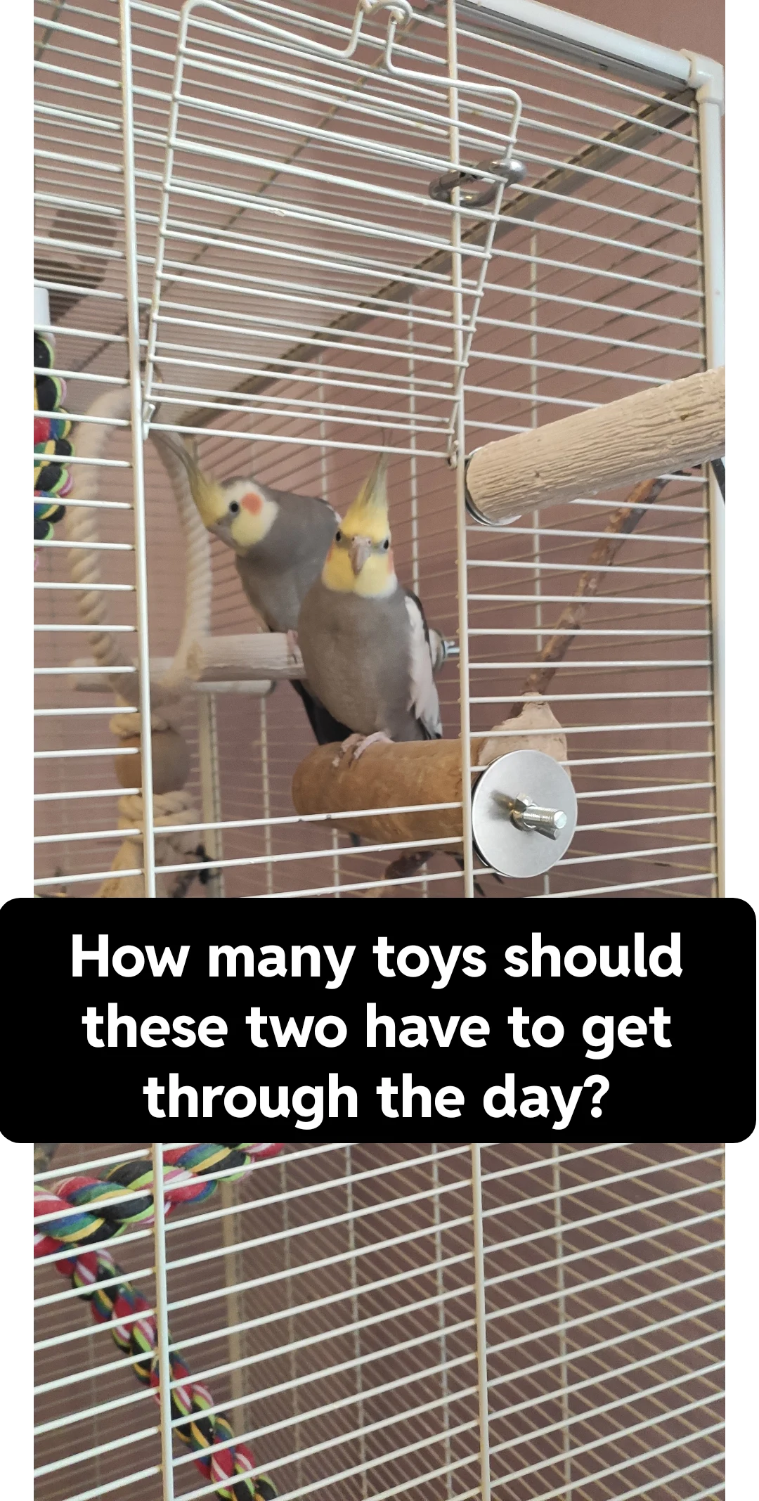 What is the right amount? | Scrolller