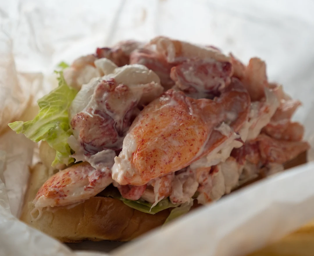 Maine Lobster roll | Scrolller