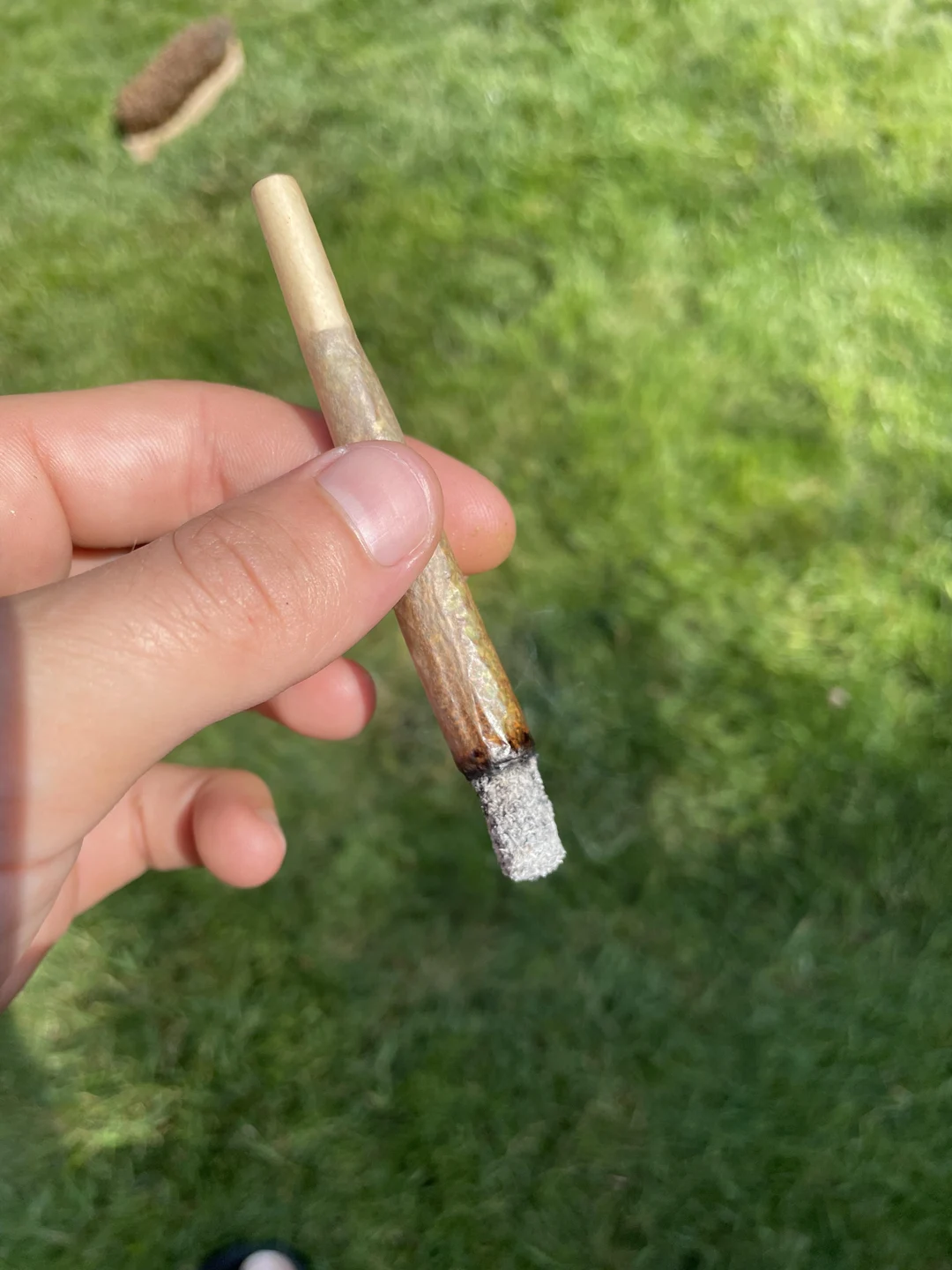 Ash Appreciation | Scrolller