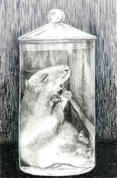 The Perfect Specimen, Me, Ink, 2022 | Scrolller