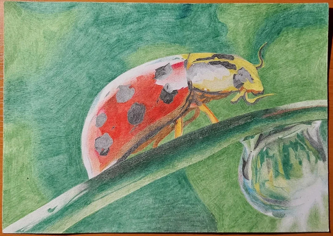 A ladybug climbing the stem of grass, me, pencils, 2022 | Scrolller