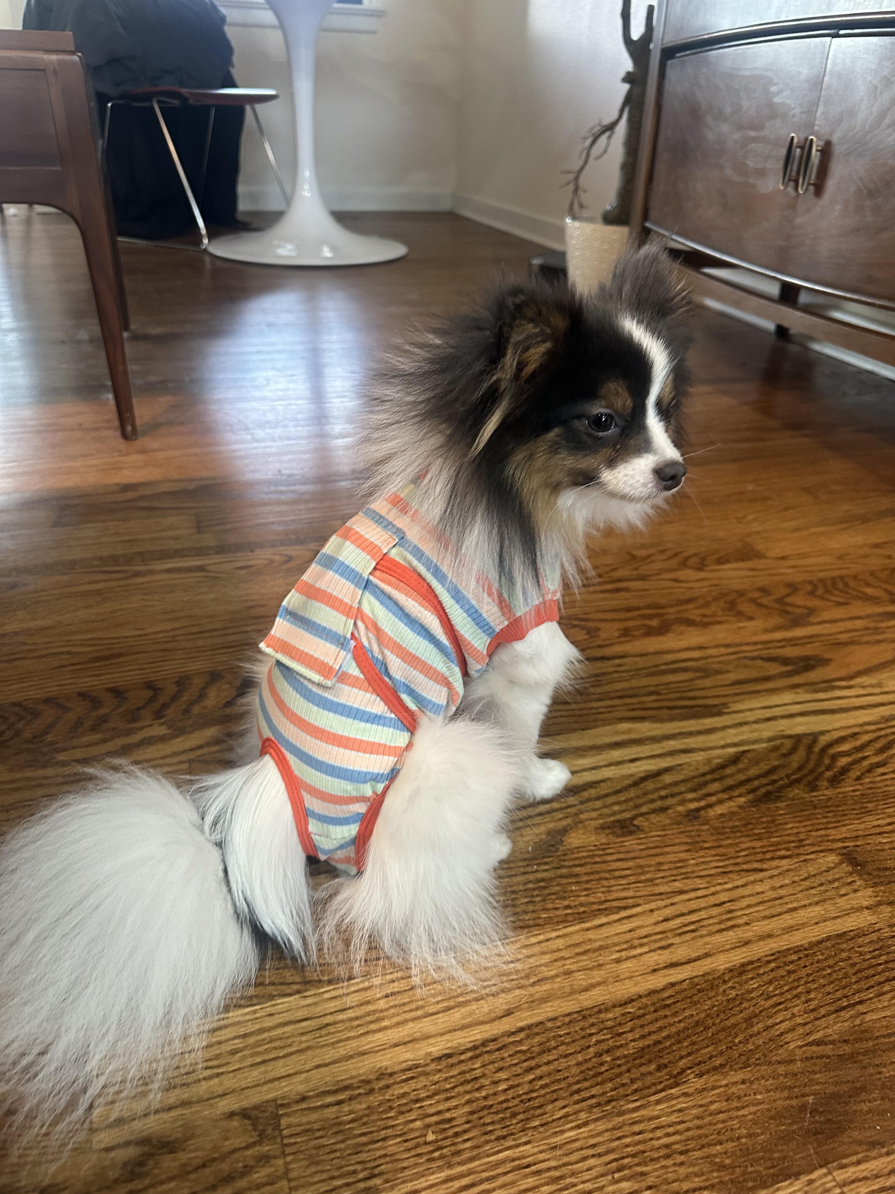 She’s so embarrassed | Scrolller