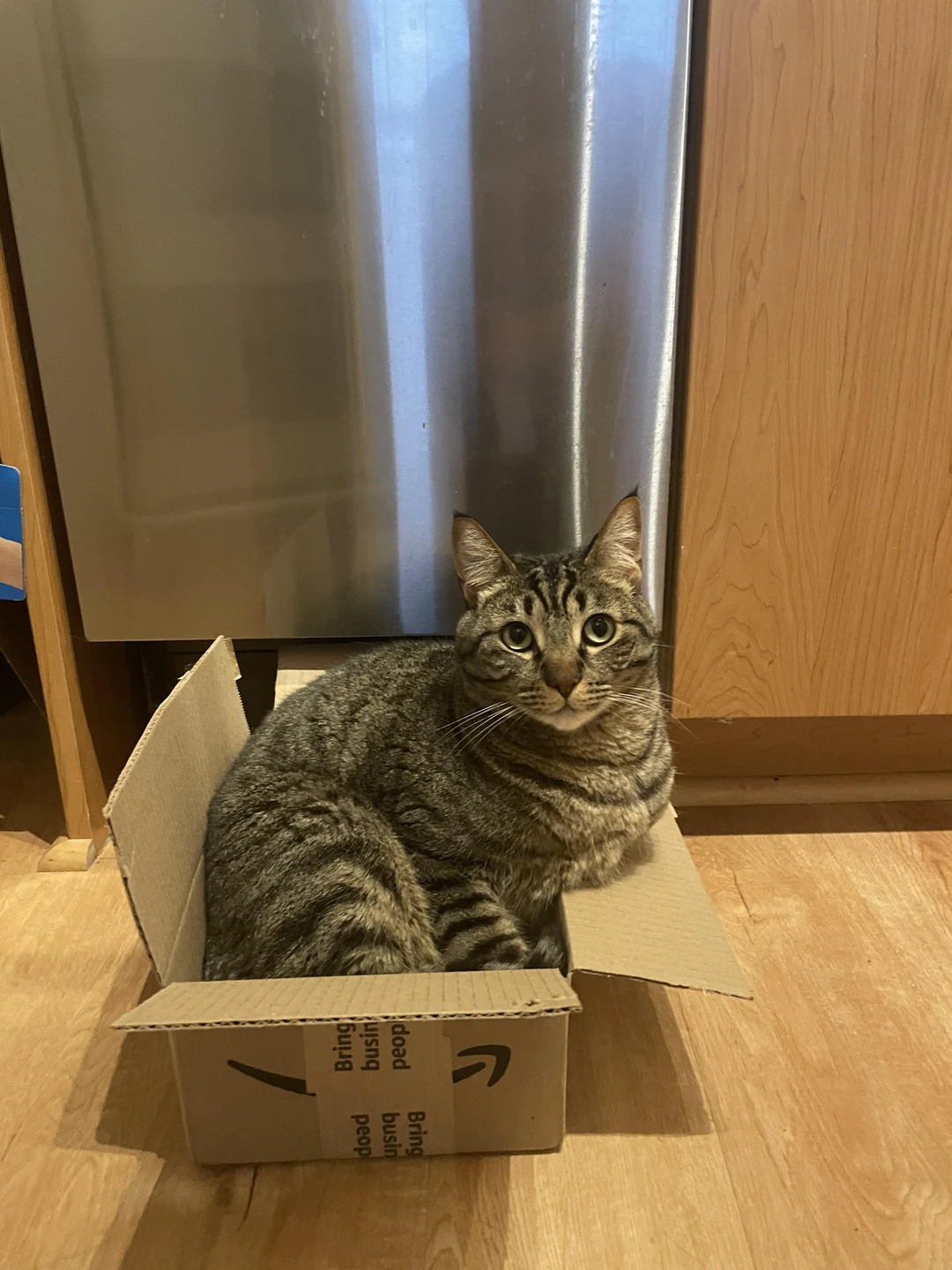 Special delivery | Scrolller