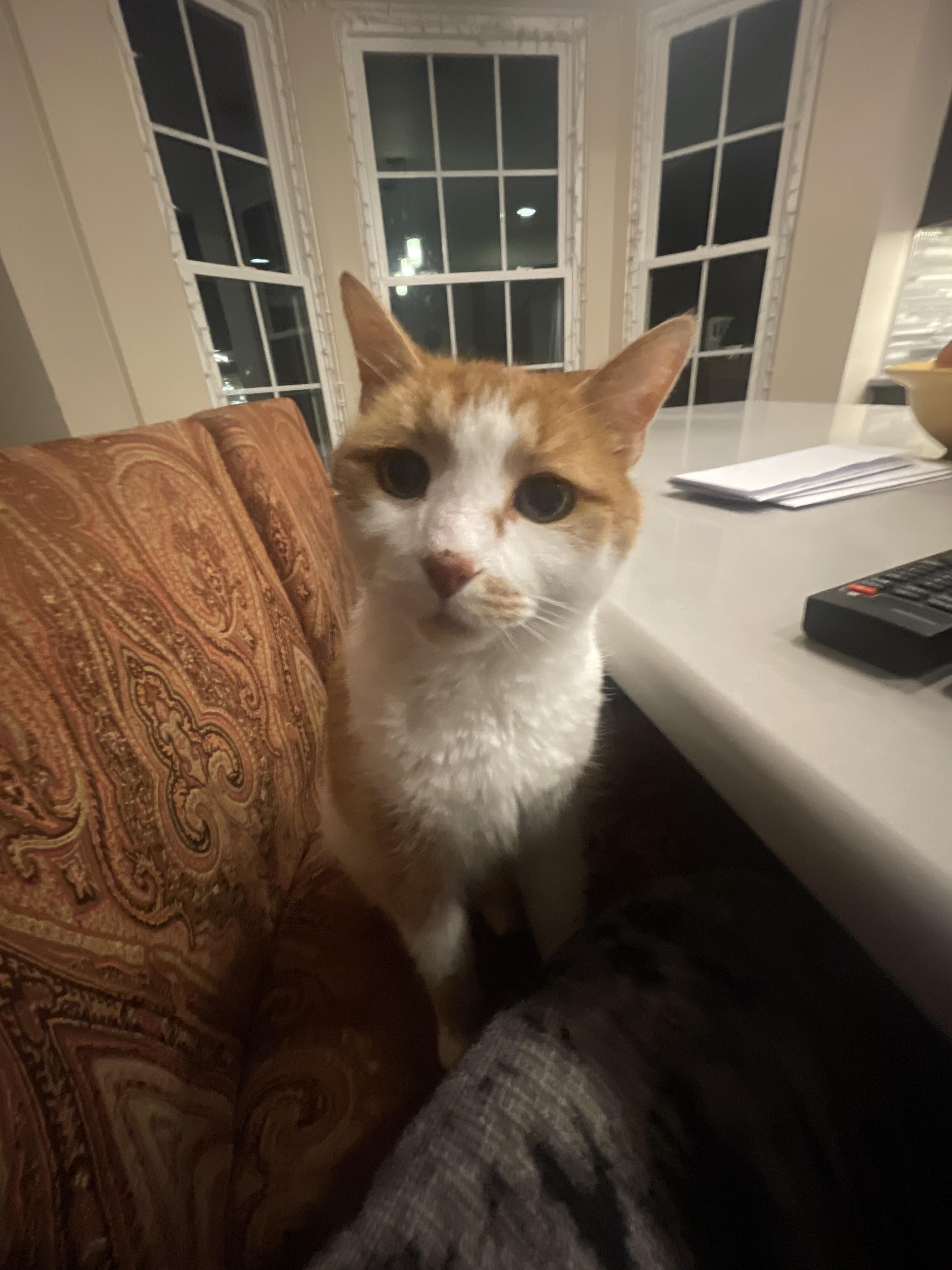 My super senior looking handsome | Scrolller