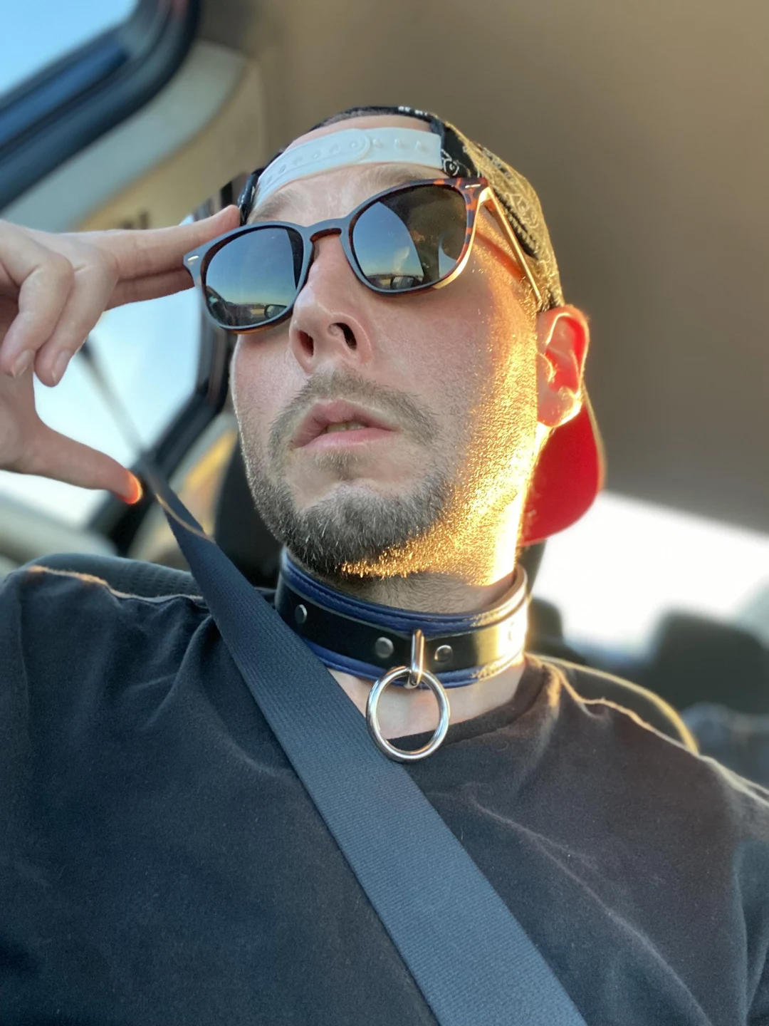 Evening sun in summer time is magic. | Scrolller