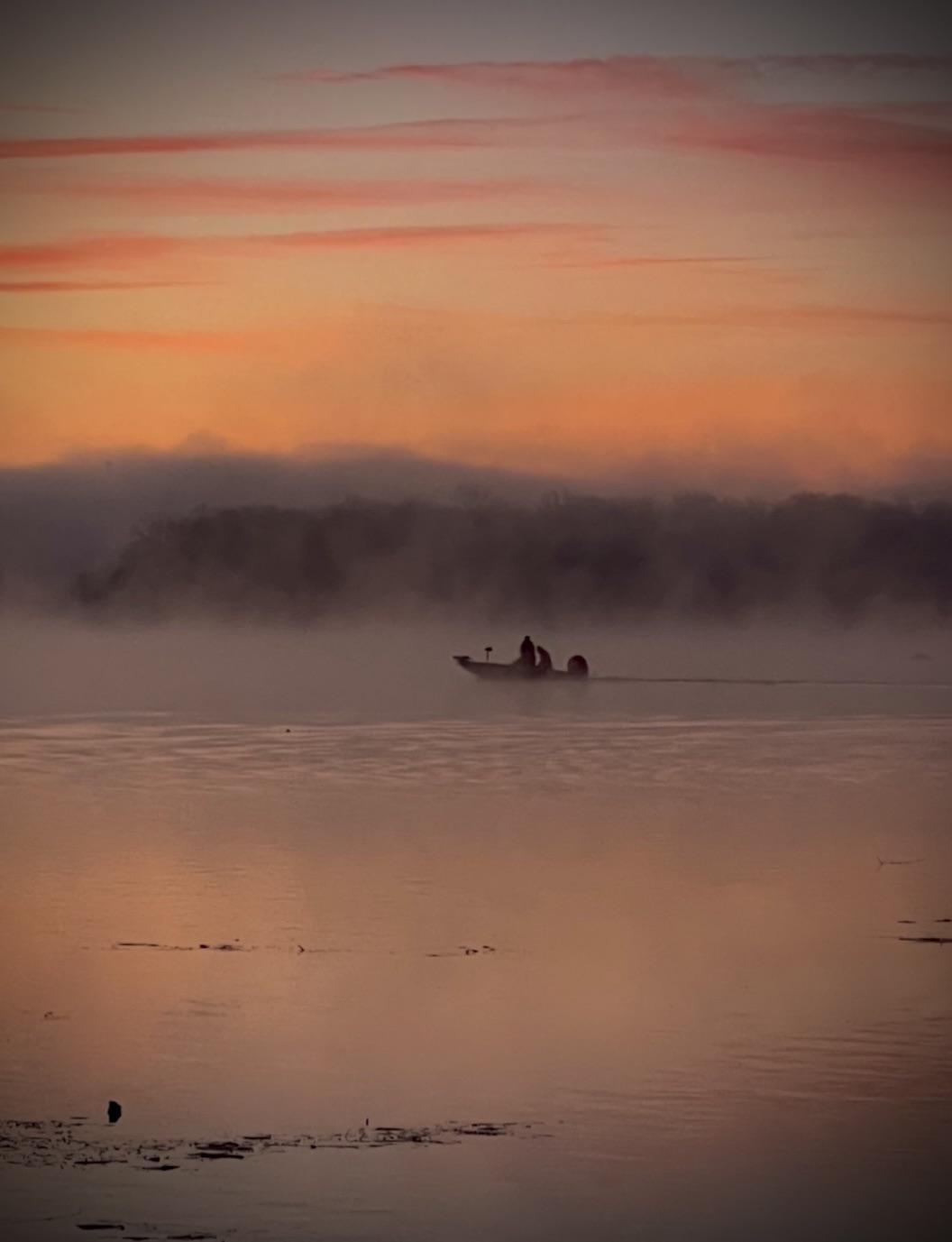 Into the mist | Scrolller