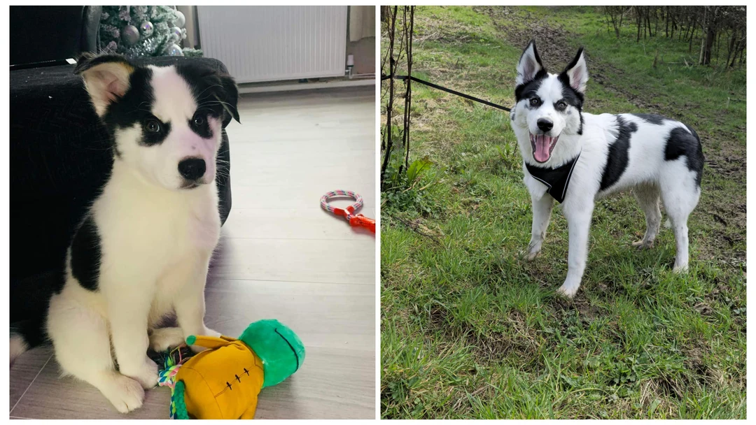 107 days difference... 💕 | Scrolller